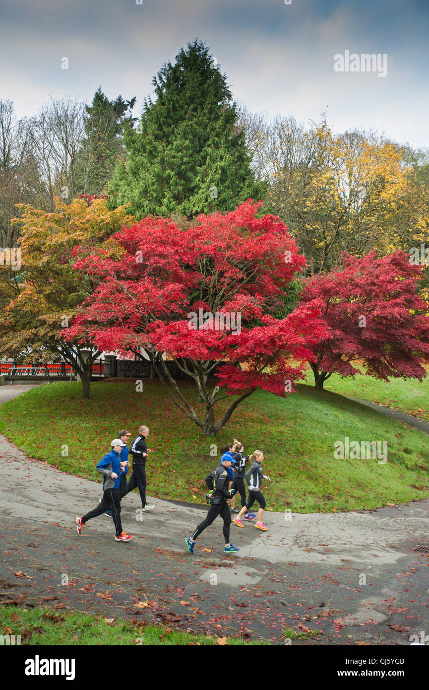 Joggers running pass trees displaying their Autumn colours, Vancouver ...