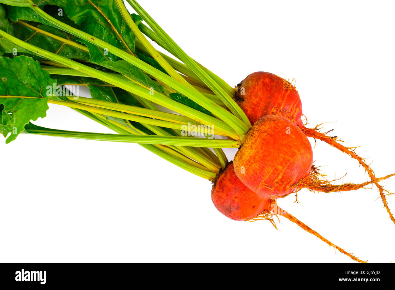 Beet orange hi-res stock photography and images - Alamy