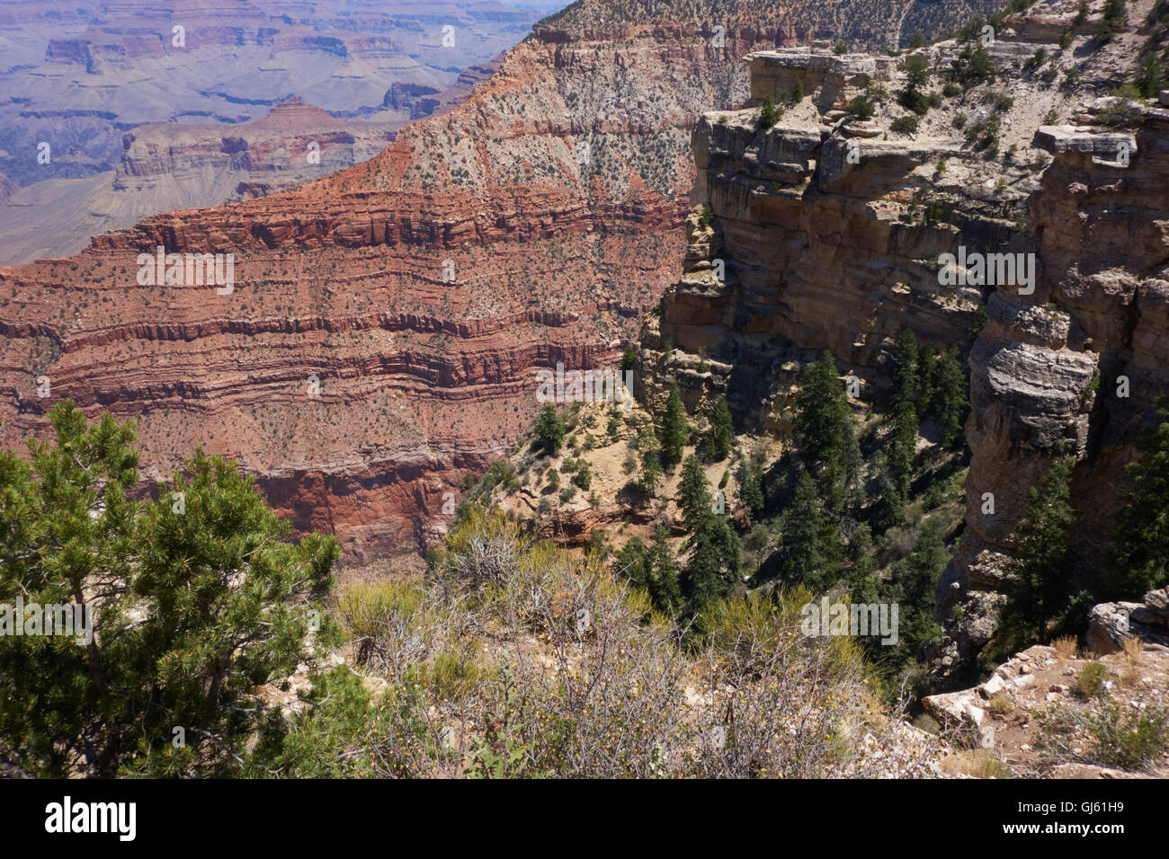 Grand Canyon from the South Rim. Arizona. USA Stock Photo - Alamy