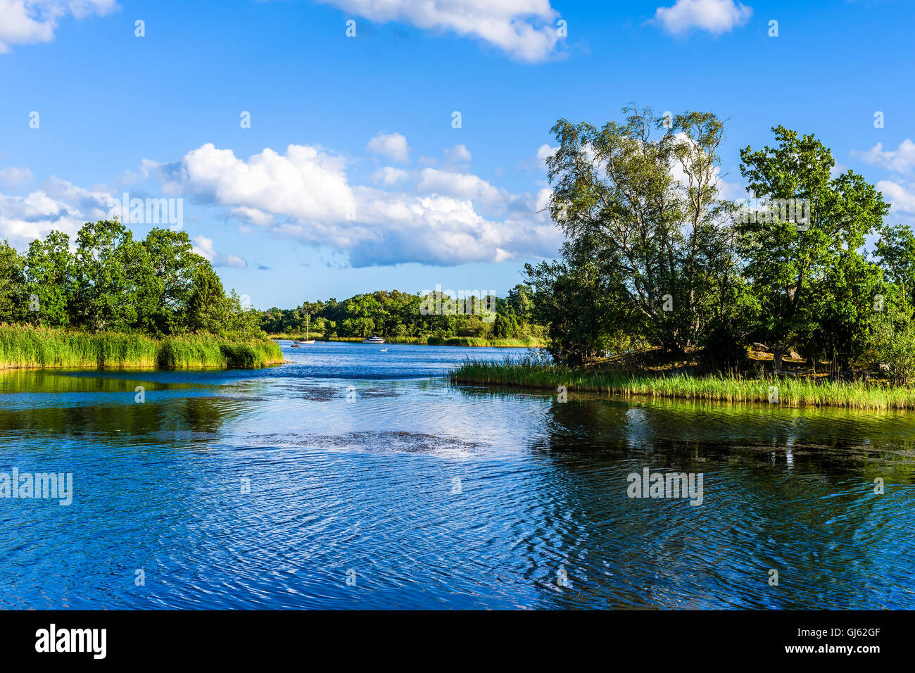 Typical coastal landscape from the southern Swedish archipelago outside ...