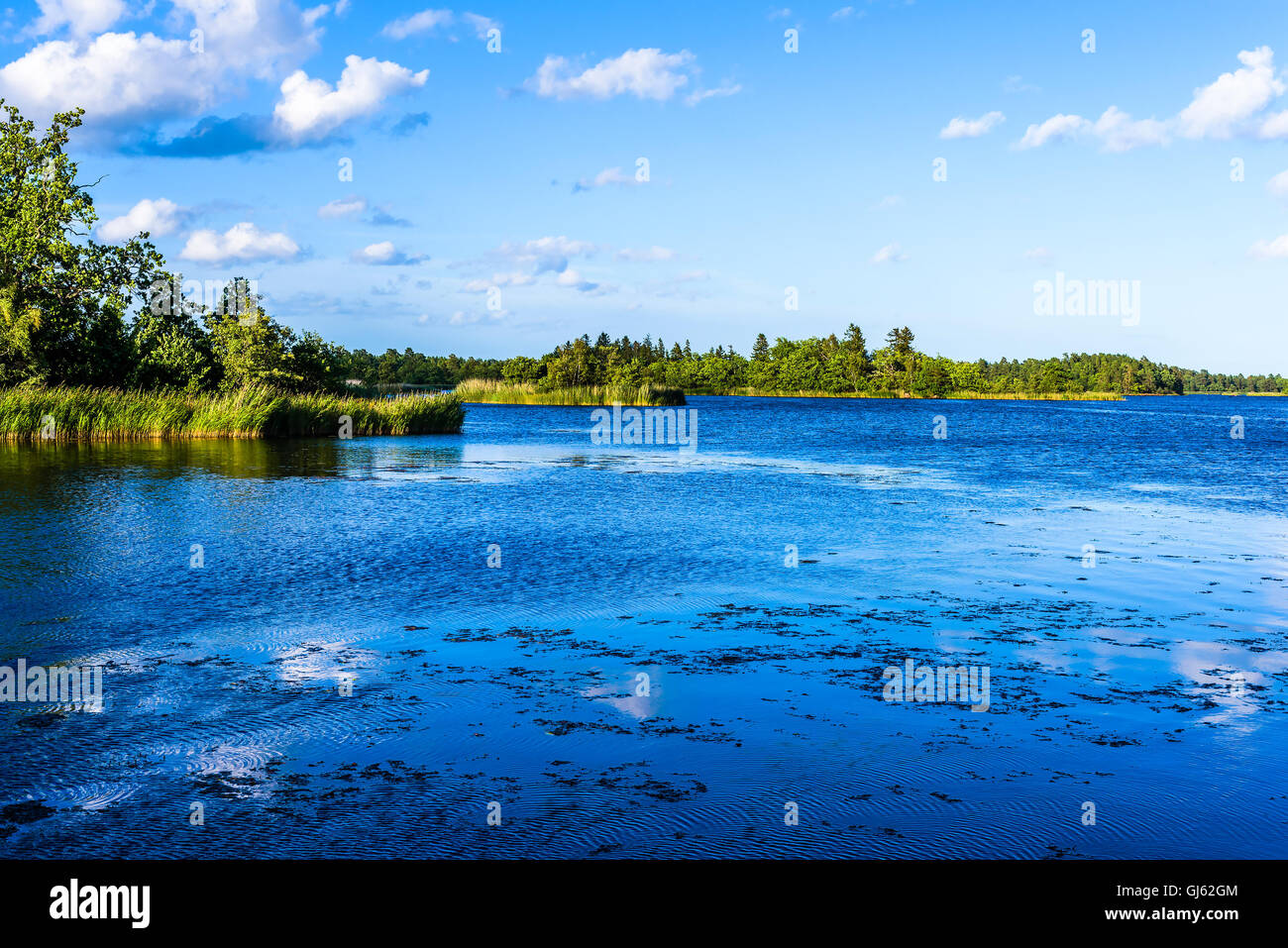 Typical coastal landscape from the southern Swedish archipelago outside ...