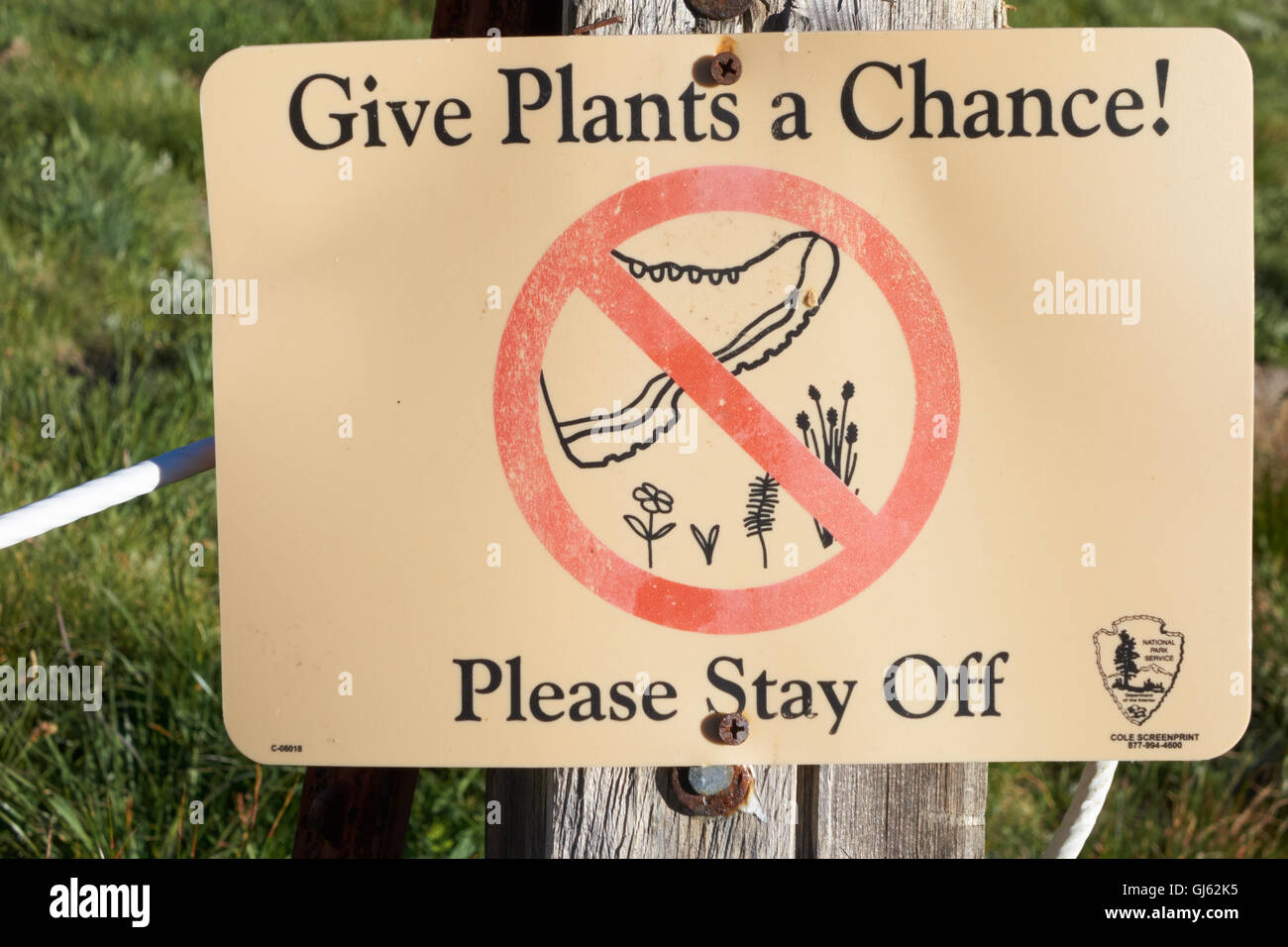 Give Plants a Chance sign in Yosemite National Park. California. USA ...