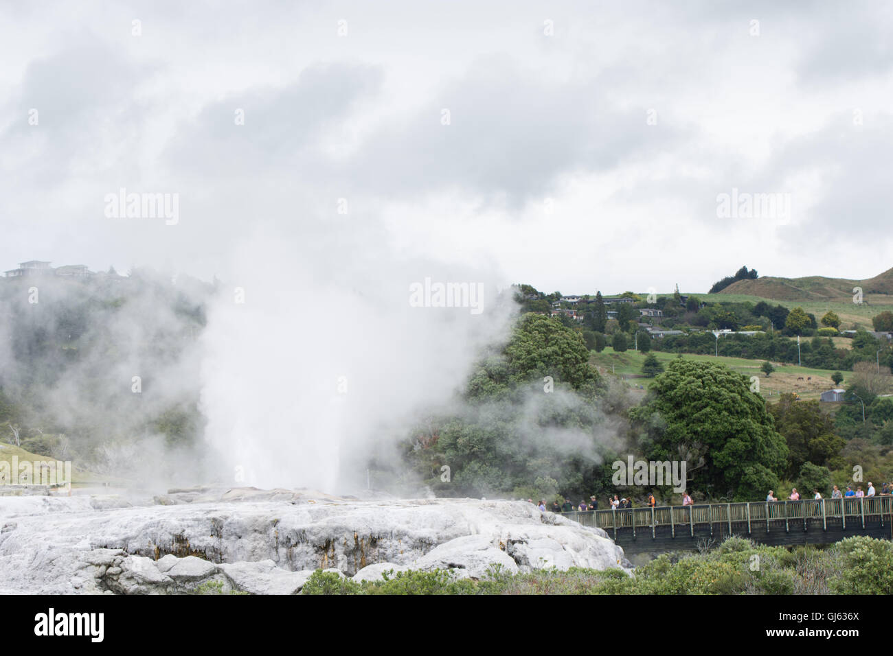 Whakarewarewa The Living Maori Village near Rotorua 2016 Stock Photo ...