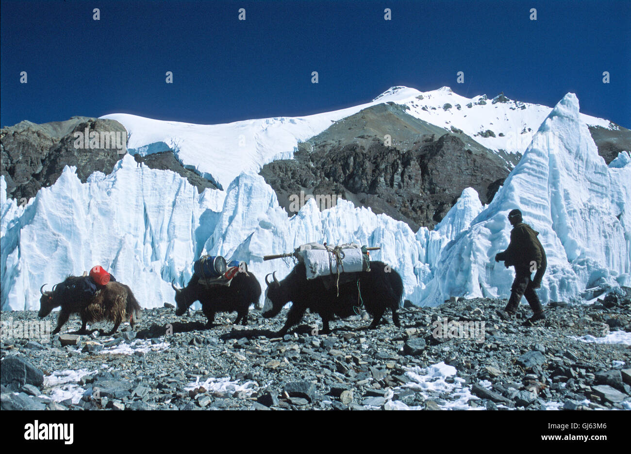 Everest Advanced Base Camp