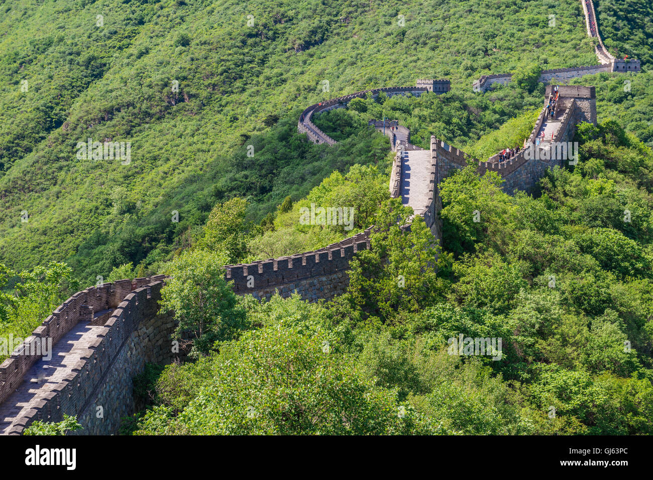Great Green Wall China Trees High Resolution Stock Photography and ...