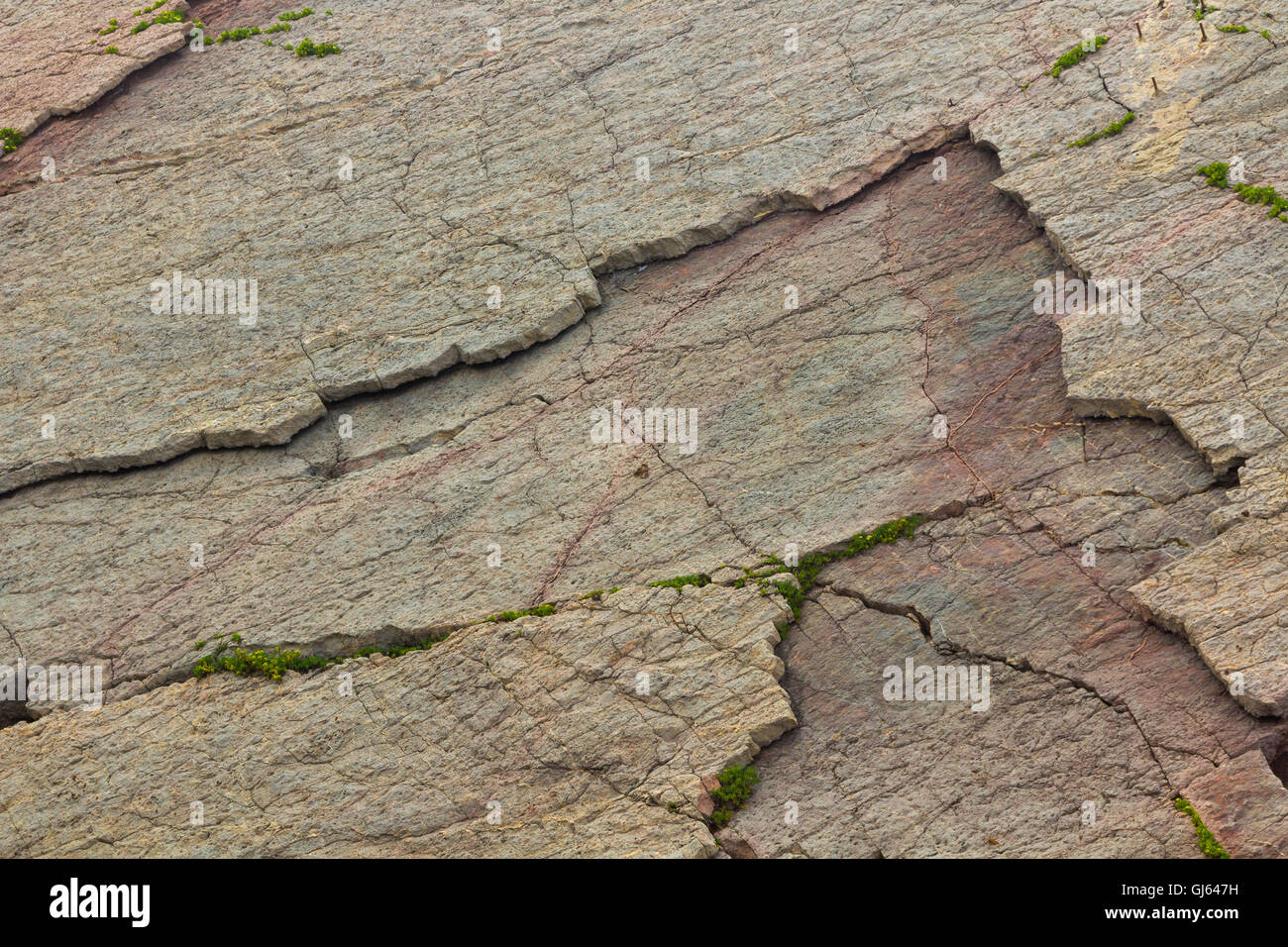 Background textured rock Stock Photo - Alamy
