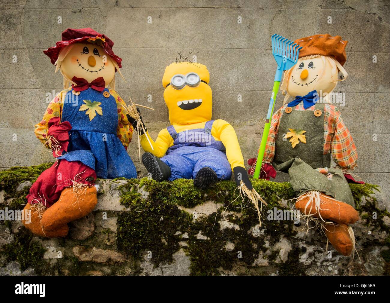 A Minion themed scarecrow on display during the Kettlewell Scarecrow ...
