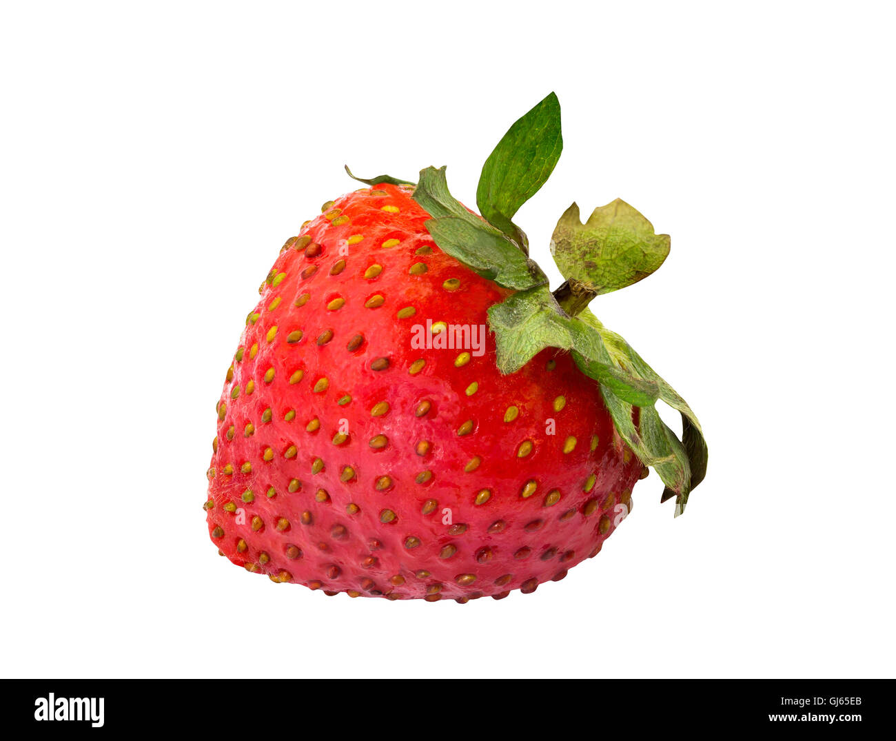 Single strawberry isolated on white background and clipping path Stock ...