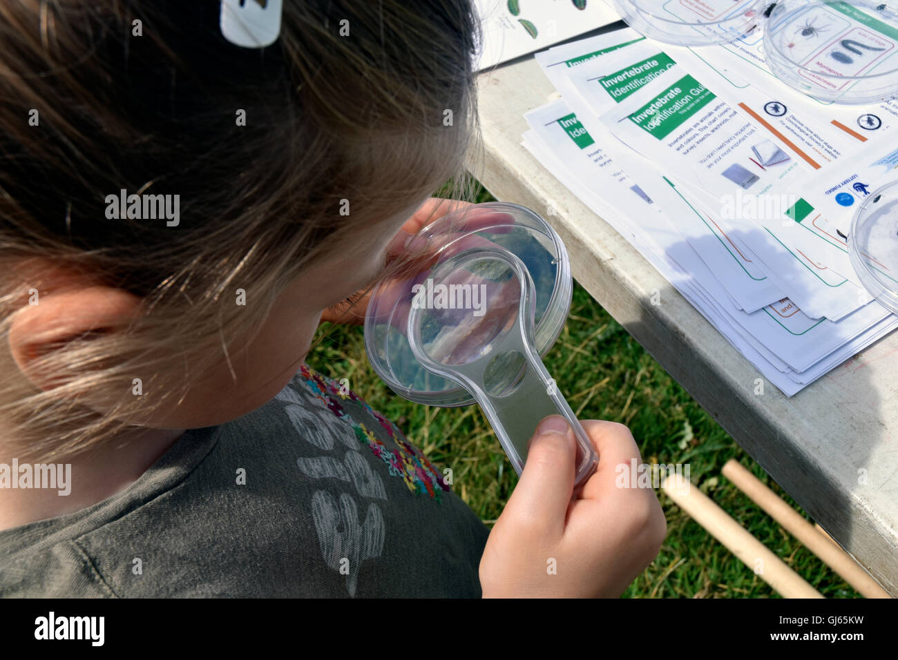 Magnifying glass insect child hi-res stock photography and images - Alamy