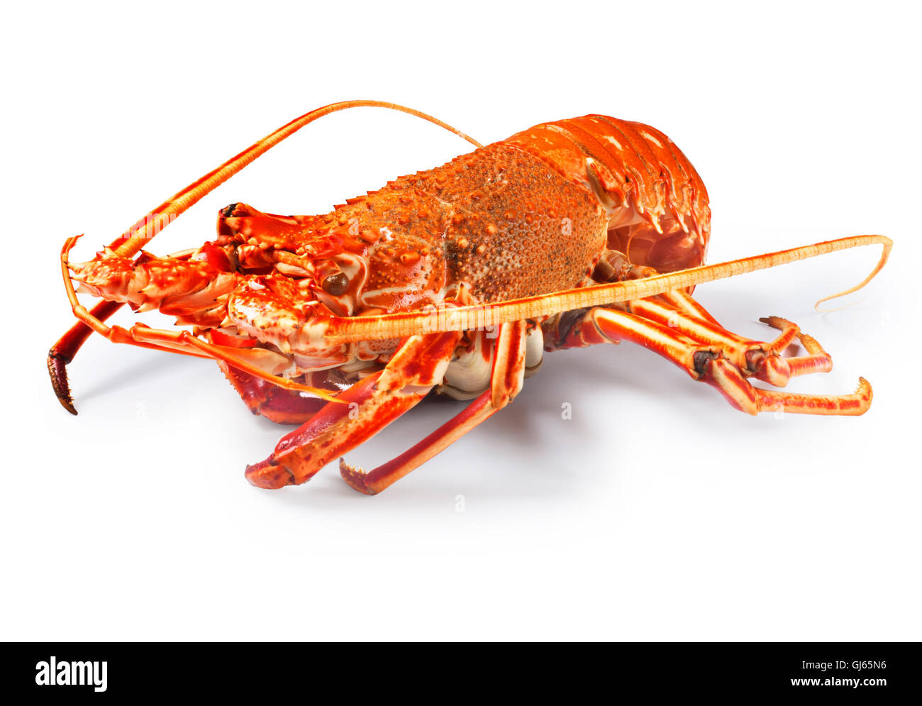 Crayfish as food hi-res stock photography and images - Alamy