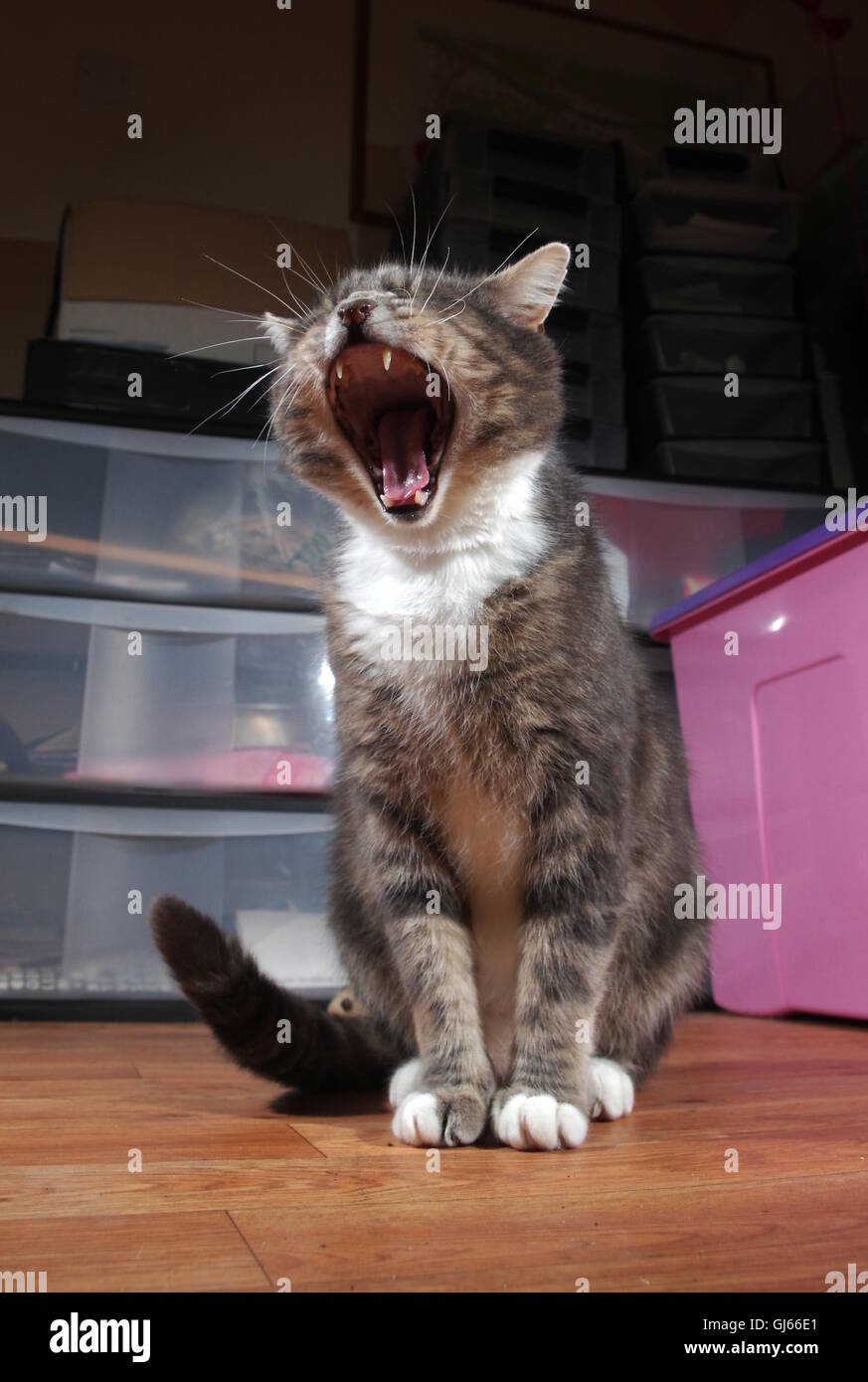 Floor sing hi-res stock photography and images - Alamy