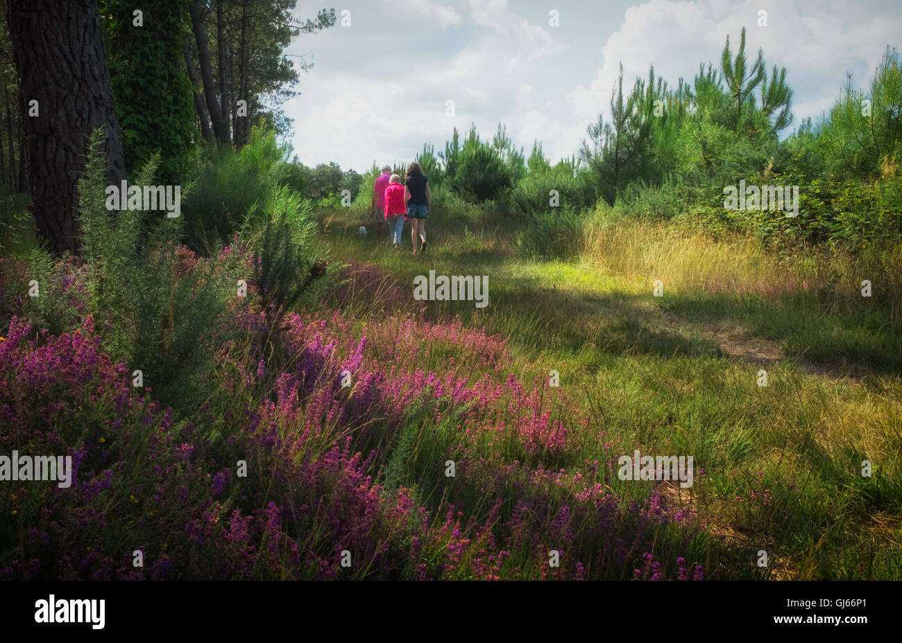 Lessay hi-res stock photography and images - Alamy