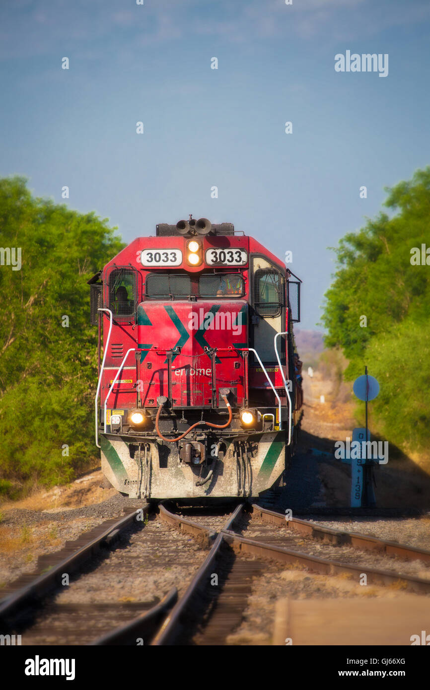 El Chepe train arrives at the Hoyancos station near El Fuerte, Mexico ...