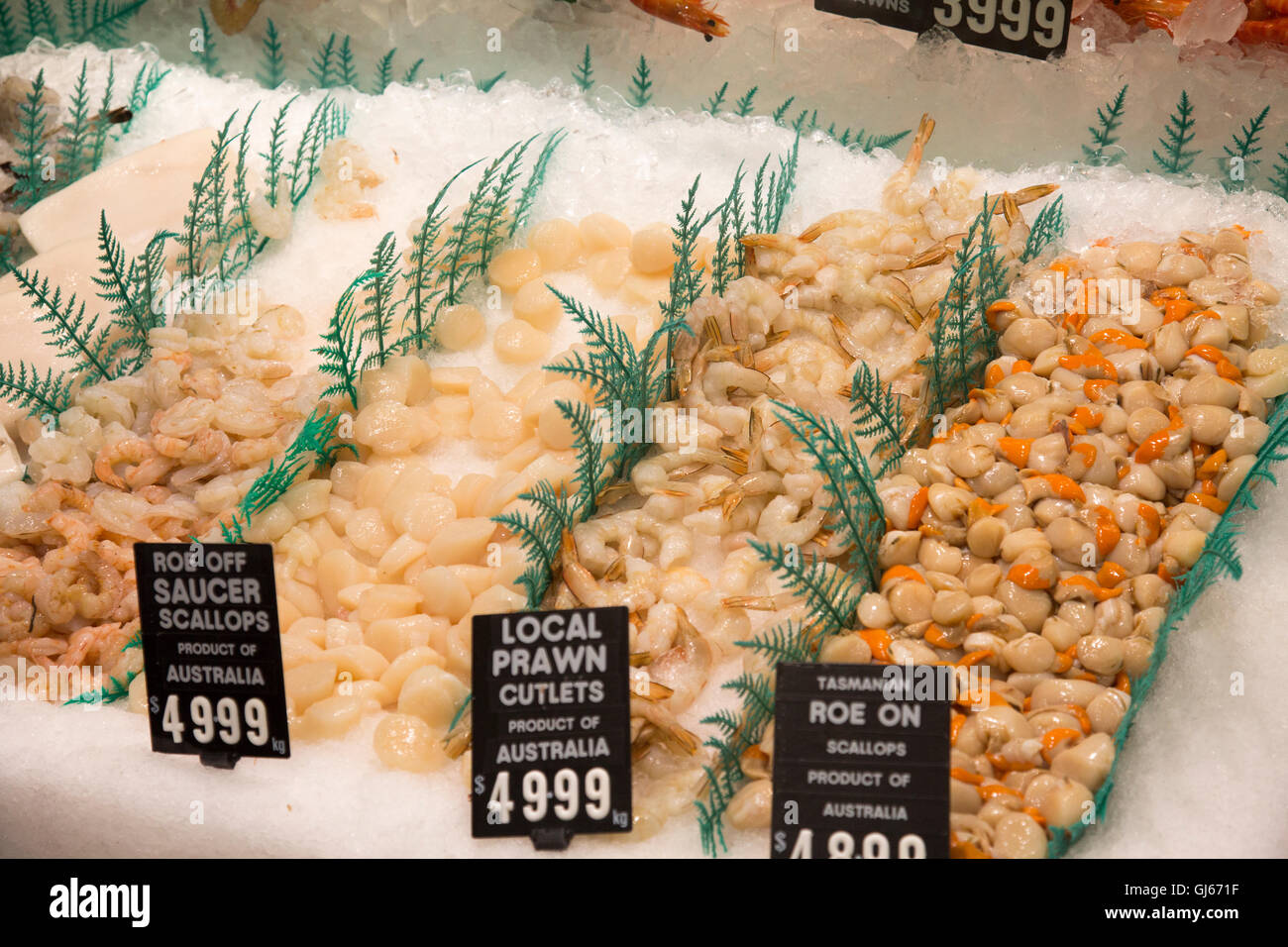 Fishmongers store shop in Manly,Sydney,Australia Stock Photo - Alamy