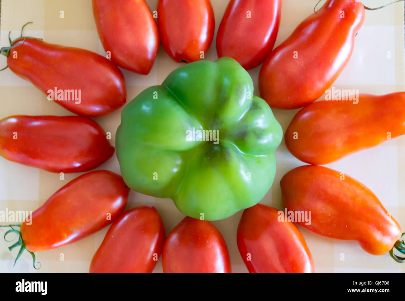 Tomato garden sunshine hi-res stock photography and images - Alamy