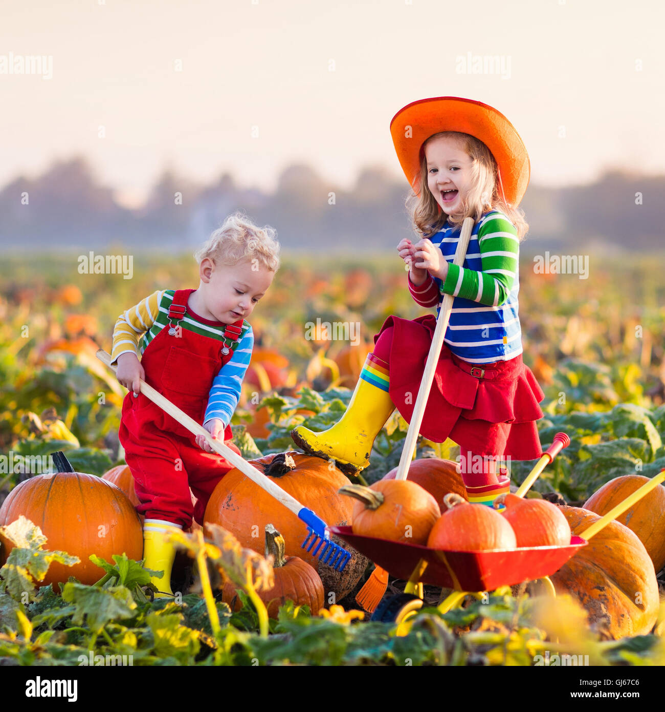 Little girl and boy picking pumpkins on Halloween pumpkin patch ...