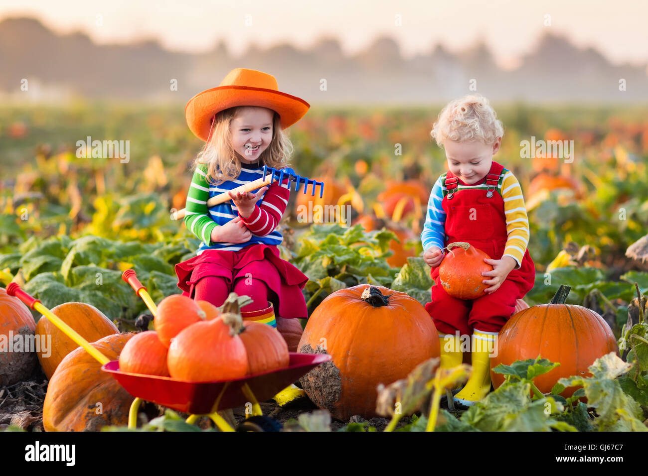 Little girl and boy picking pumpkins on Halloween pumpkin patch ...