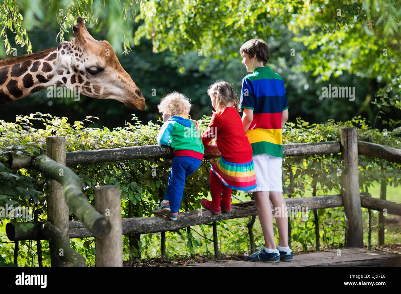 Group of children, school student, little toddler boy and preschool ...