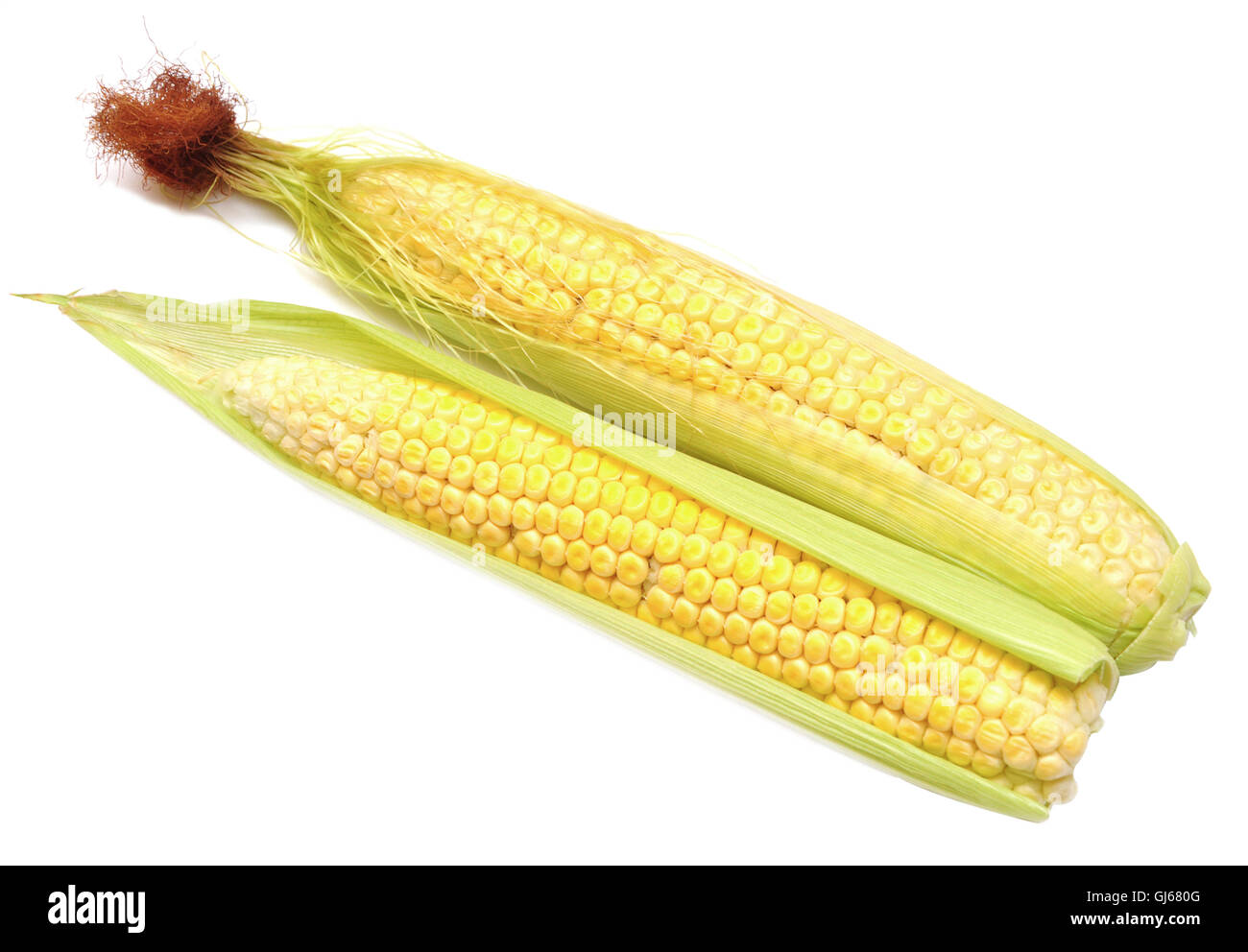 Plant pop Cut Out Stock Images & Pictures - Alamy