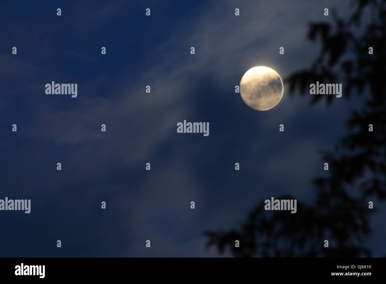Winter moon night hi-res stock photography and images - Alamy