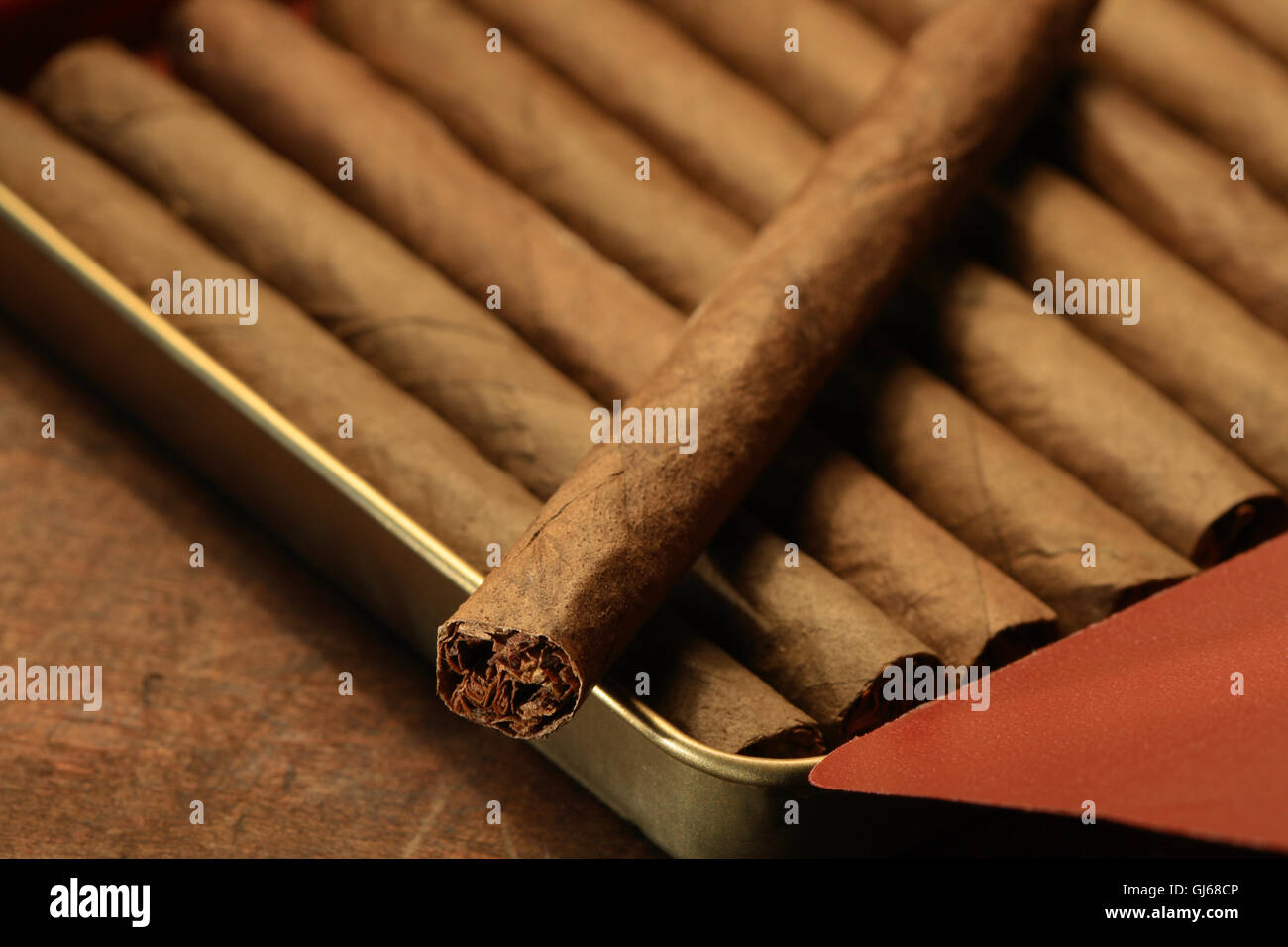 Cigars In Box Stock Photo - Alamy