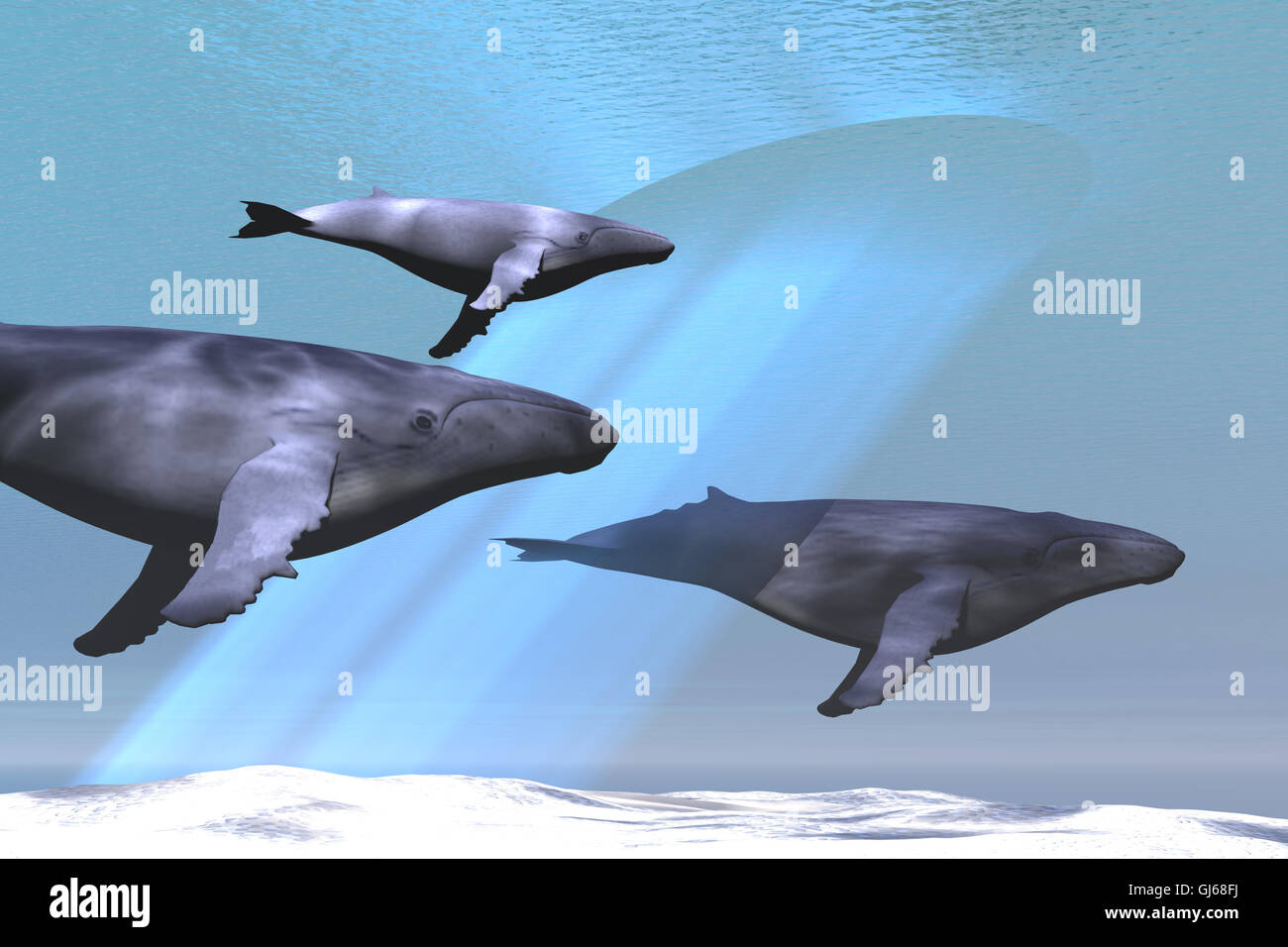 FULL OF LIGHT Stock Photo - Alamy