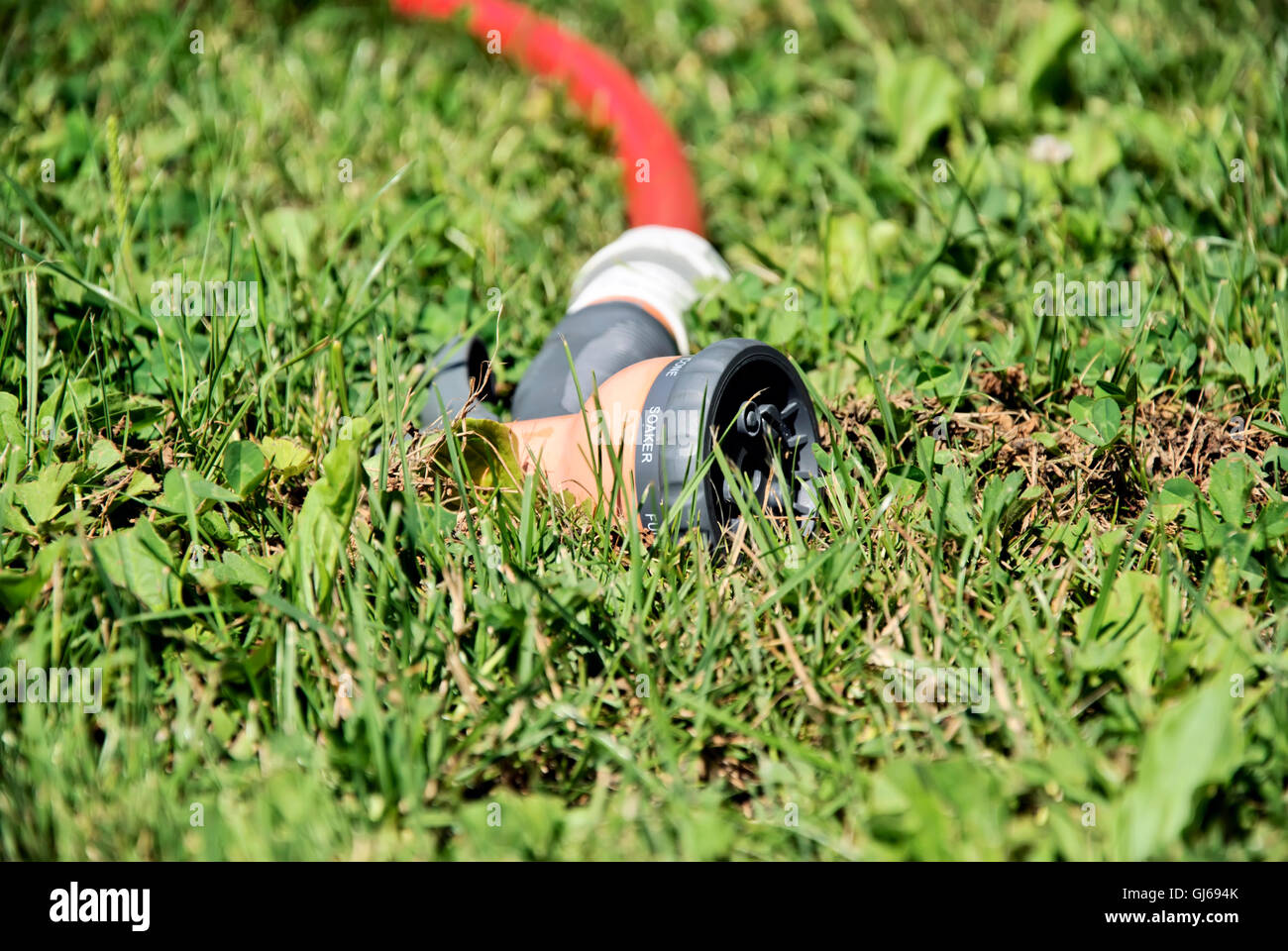 Hose drop hi-res stock photography and images - Alamy