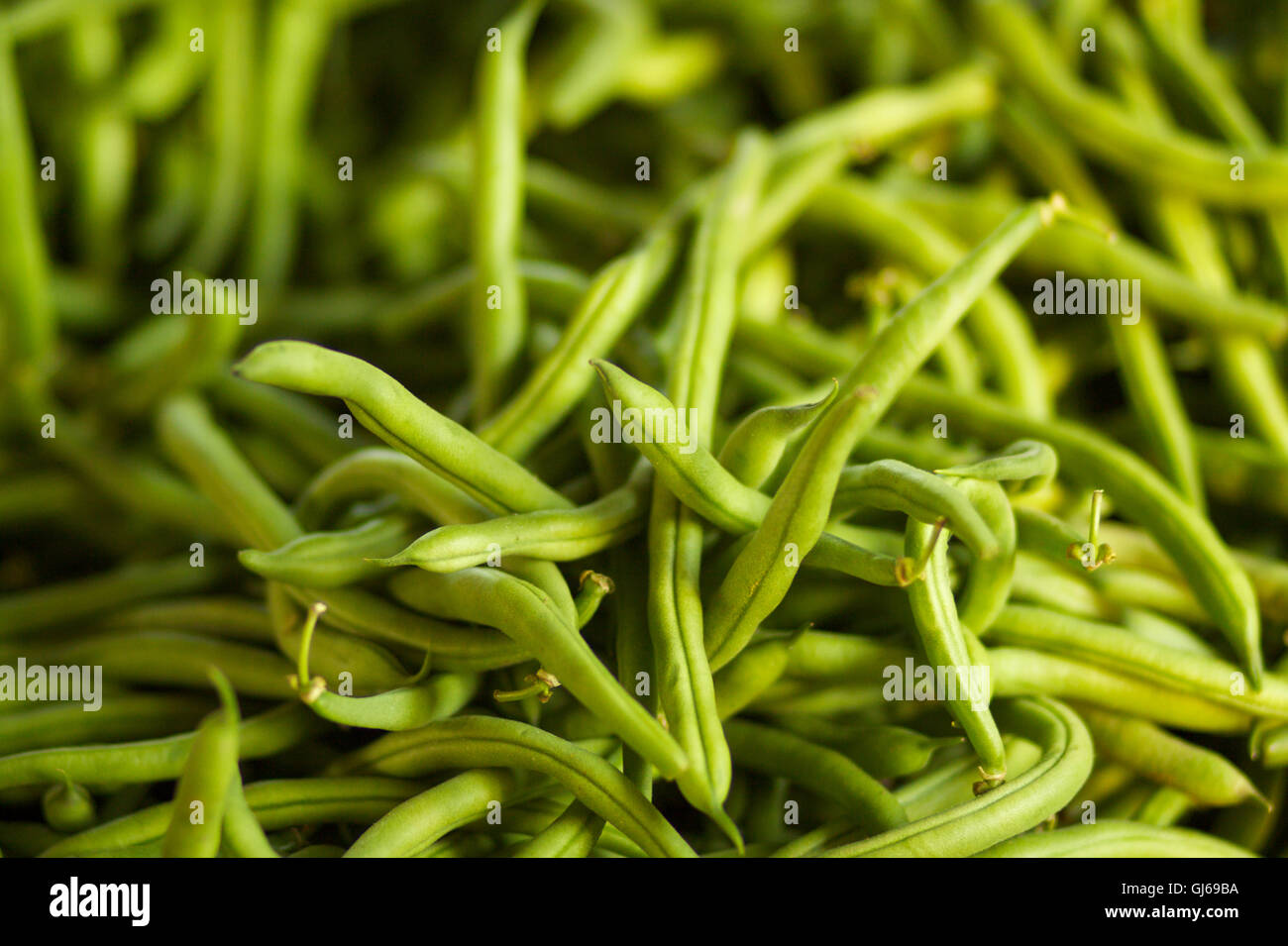 Pile of Green String Beans Stock Photo - Alamy
