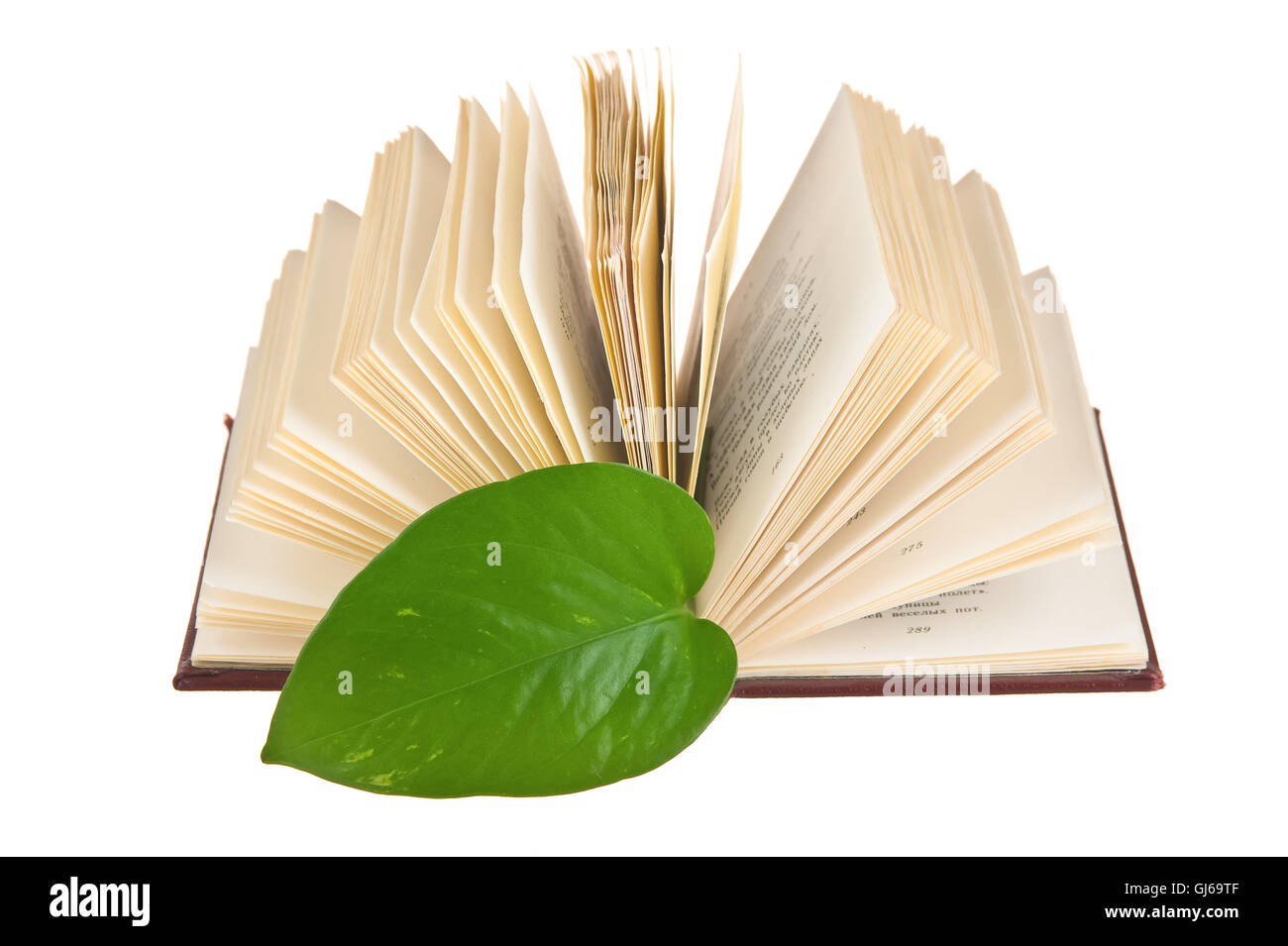 Launched book with a green leaf Stock Photo - Alamy