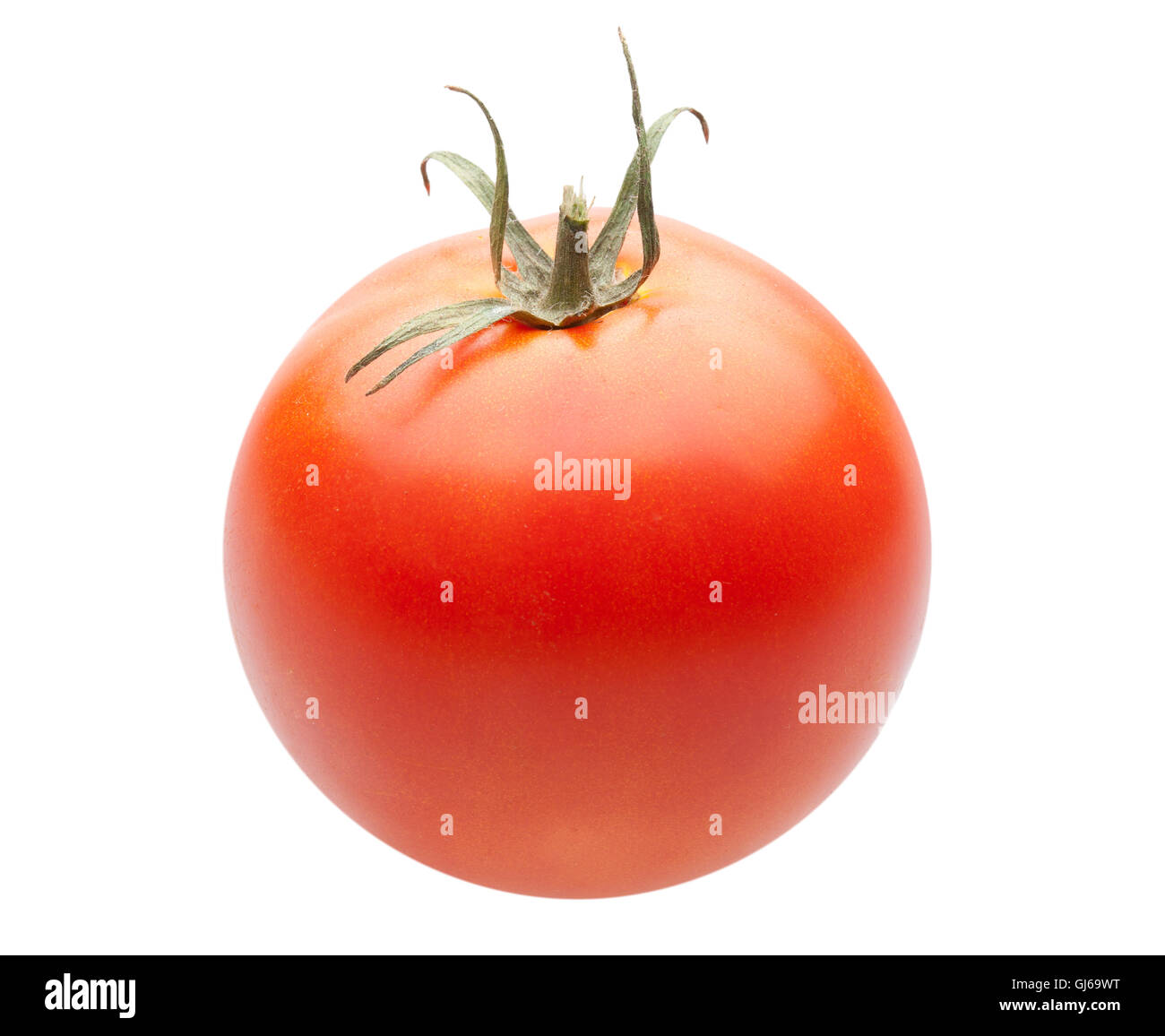 Tomato cultivation Cut Out Stock Images & Pictures - Alamy