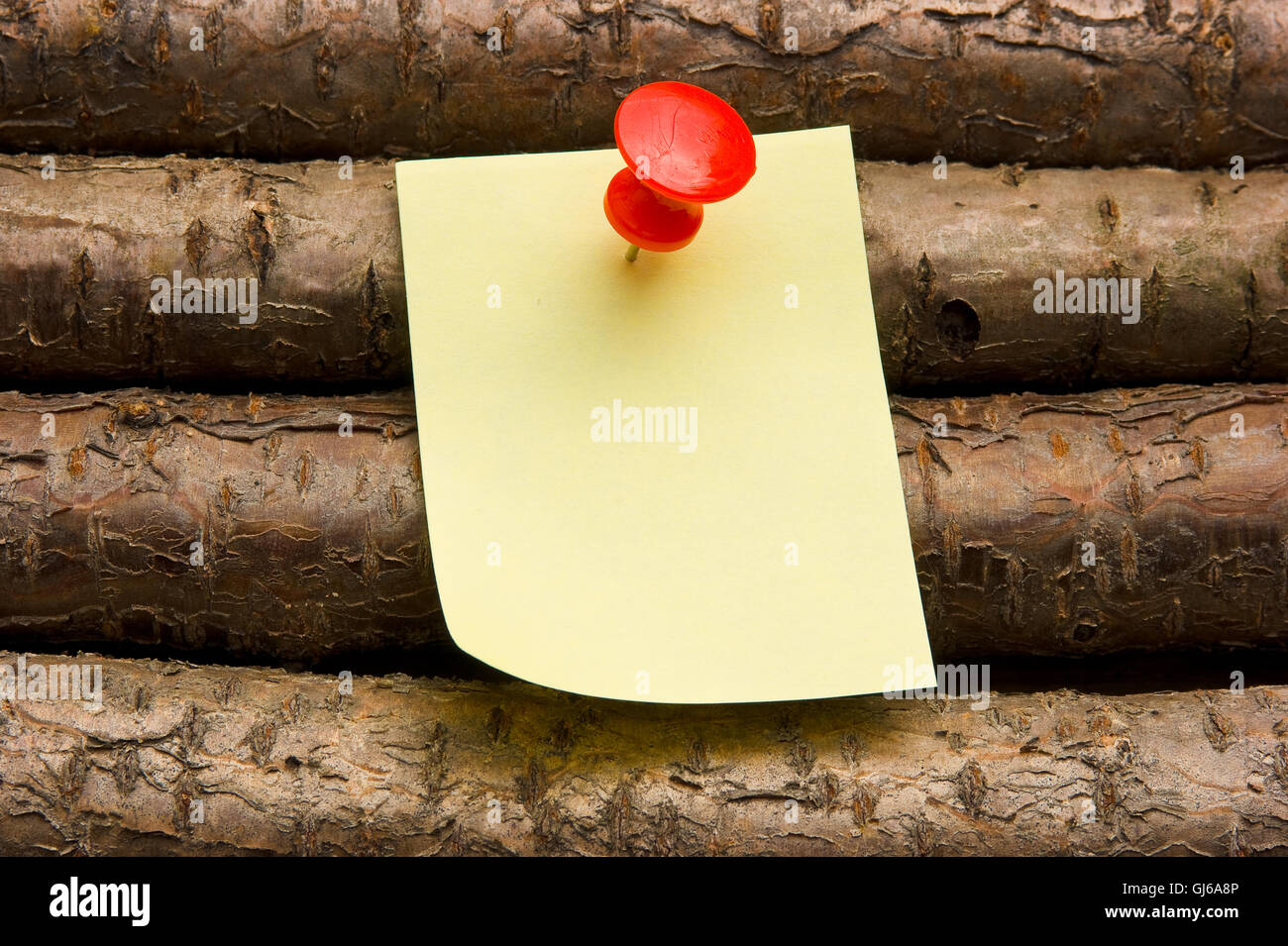 A piece of paper pinned the button Stock Photo - Alamy