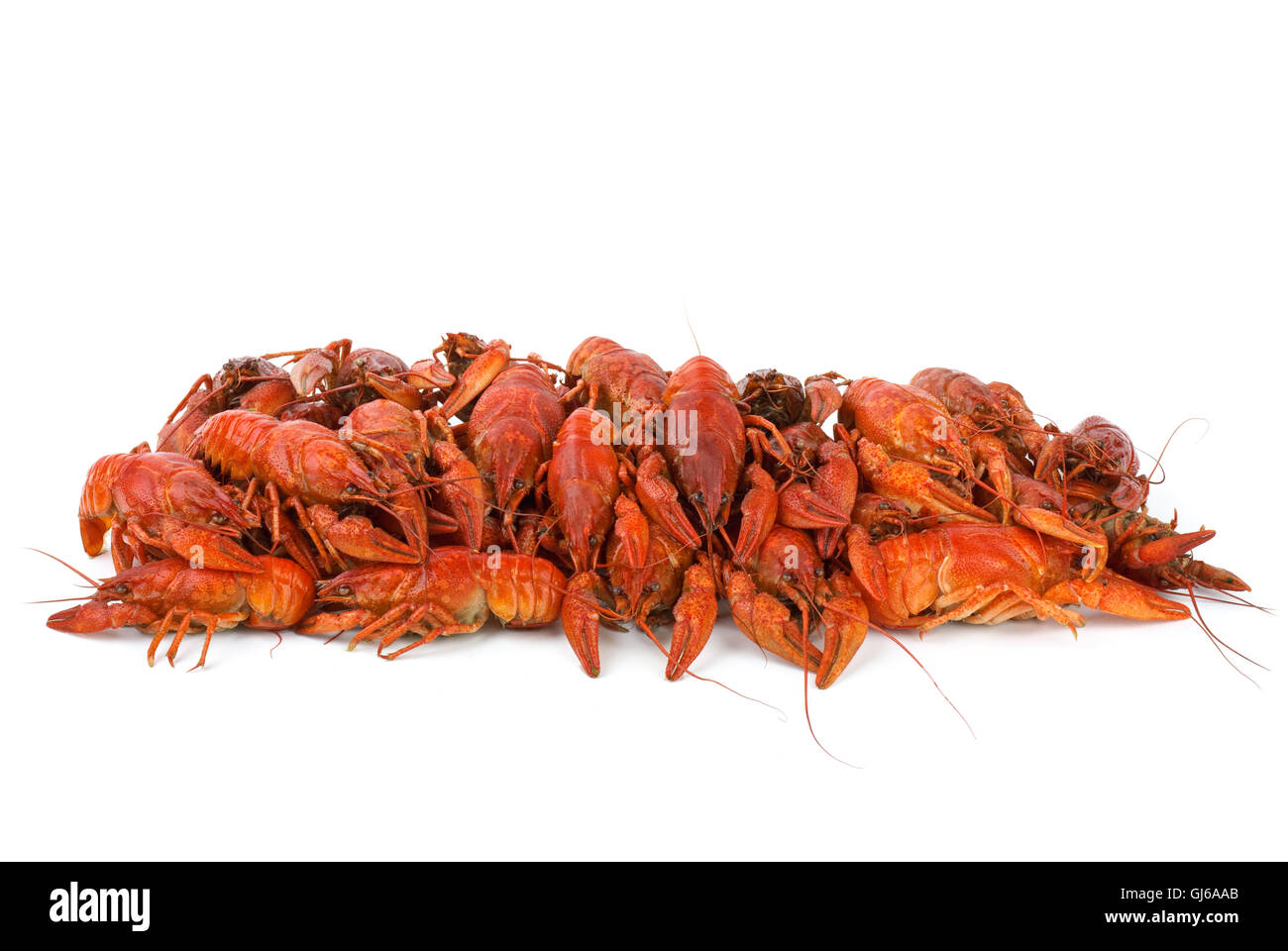 Pile of boiled crawfishes Stock Photo - Alamy