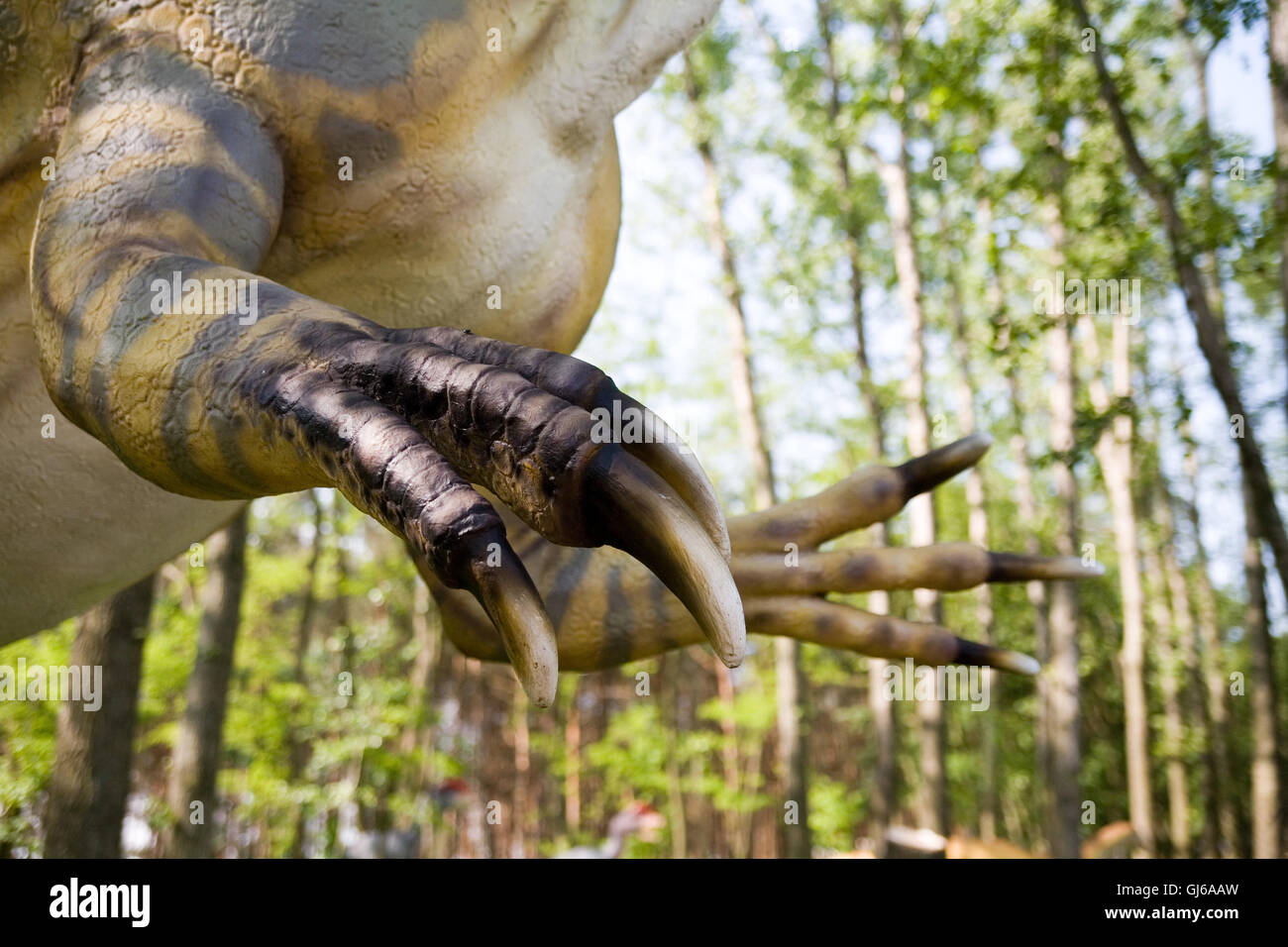 Allosaurus model hi-res stock photography and images - Alamy
