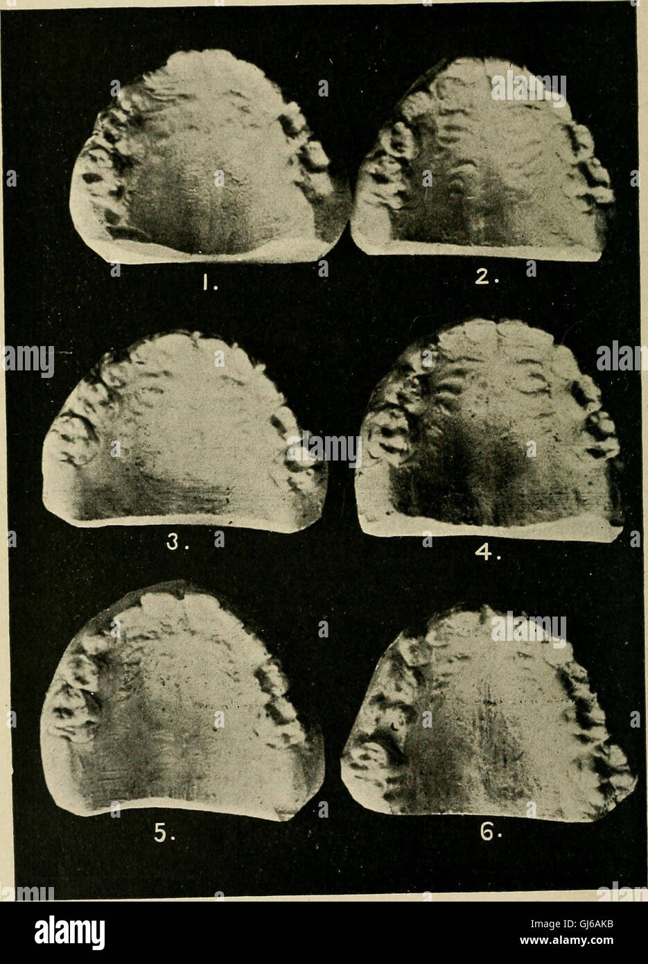 This medical work examines the causes and origins of bone deformities ...