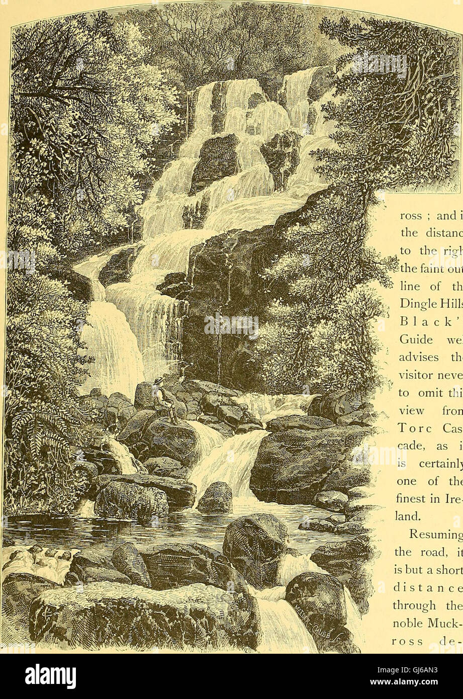 *Picturesque Ireland* offers a visual and literary exploration of ...