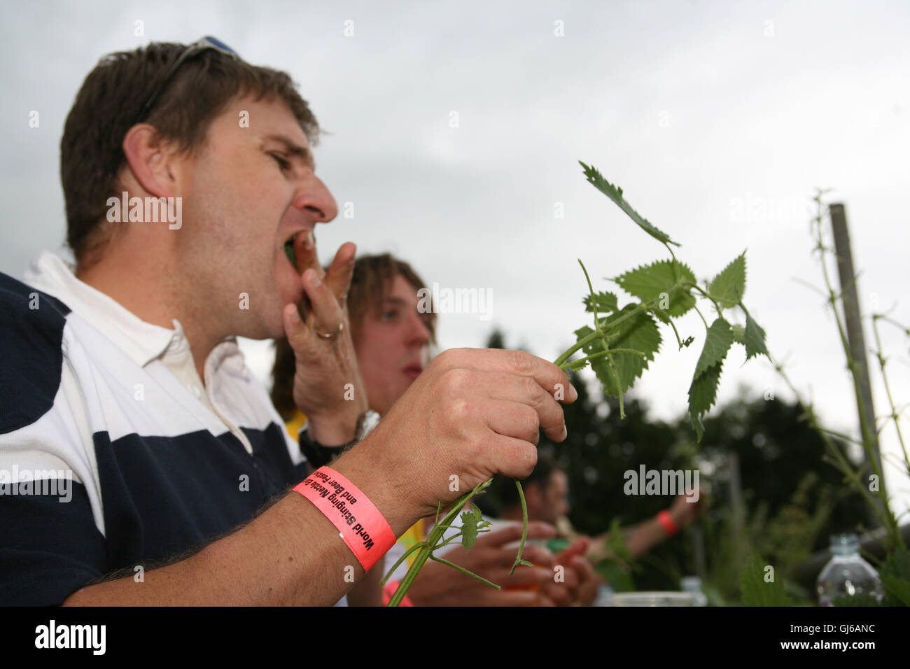 Nettle eating contest hi-res stock photography and images - Alamy