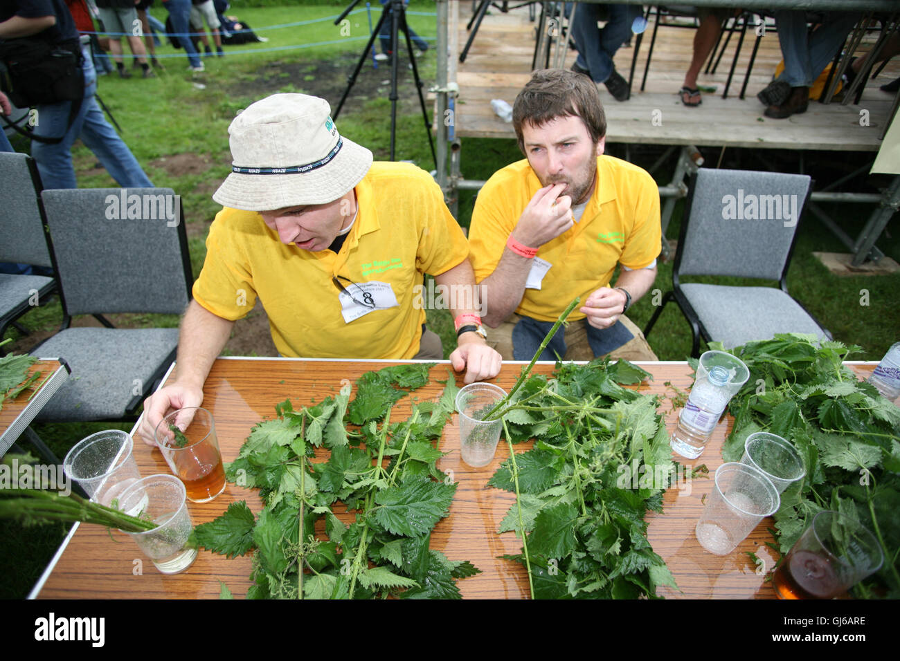 At the World Stinging Nettle Eating Championship and Beer Festival ...