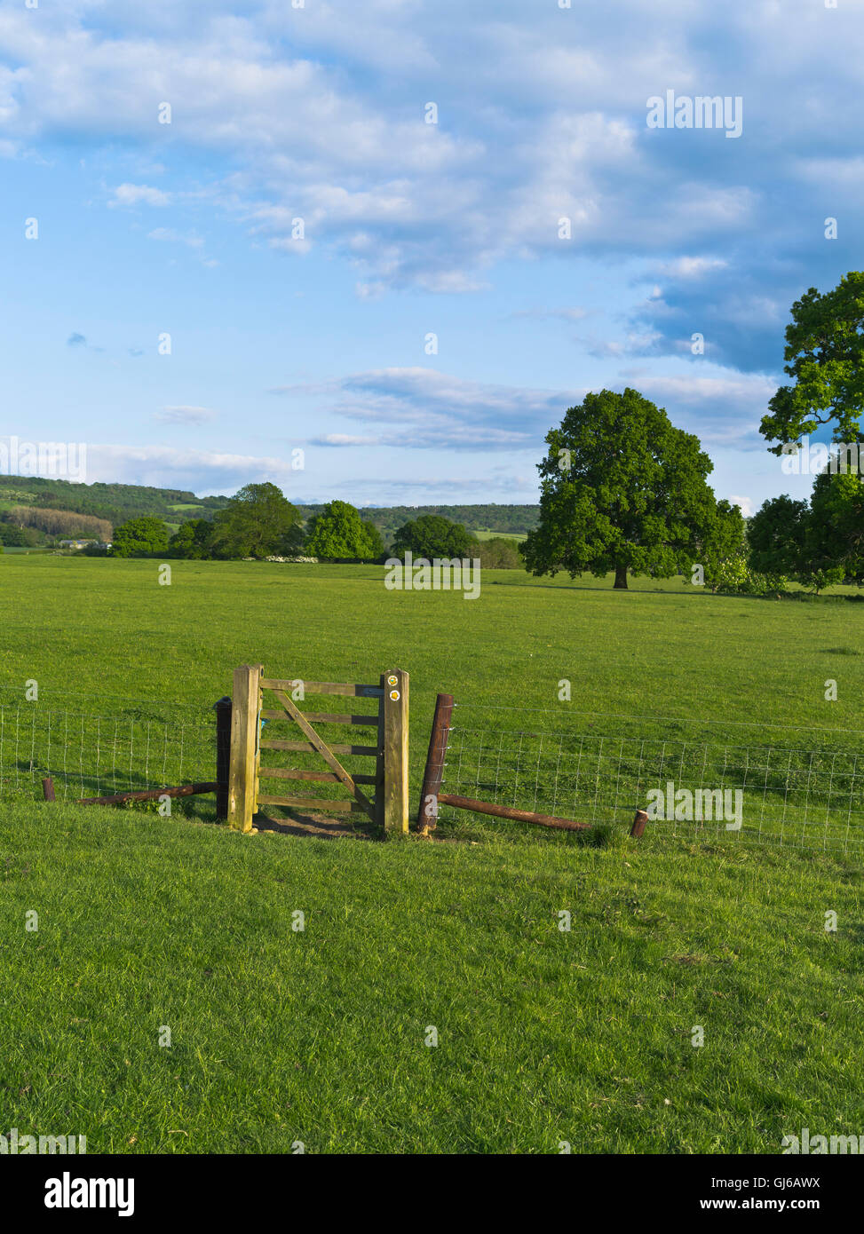 Stile hi-res stock photography and images - Alamy