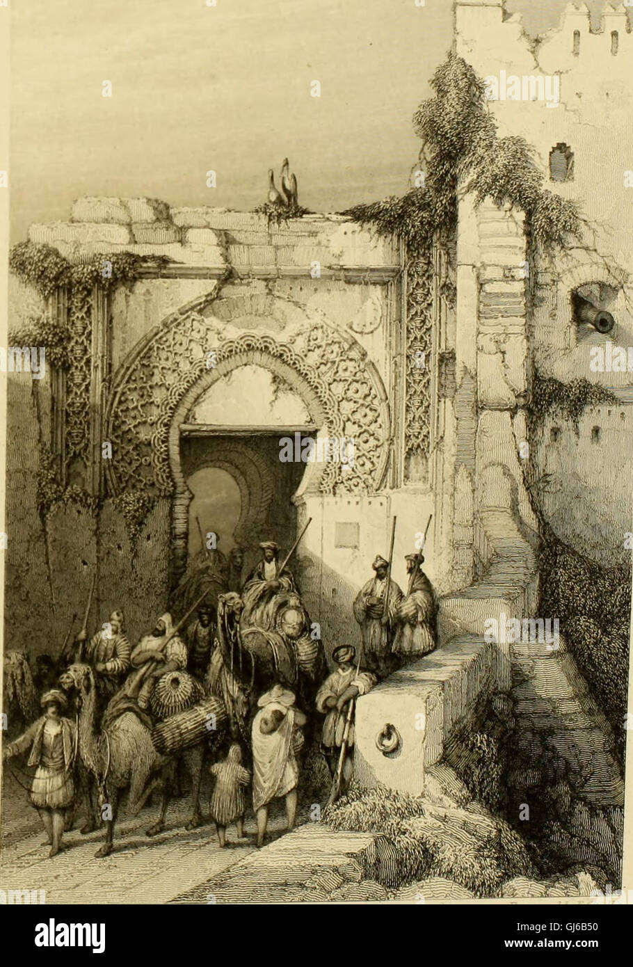 This 1838 work features detailed illustrations and descriptions of ...