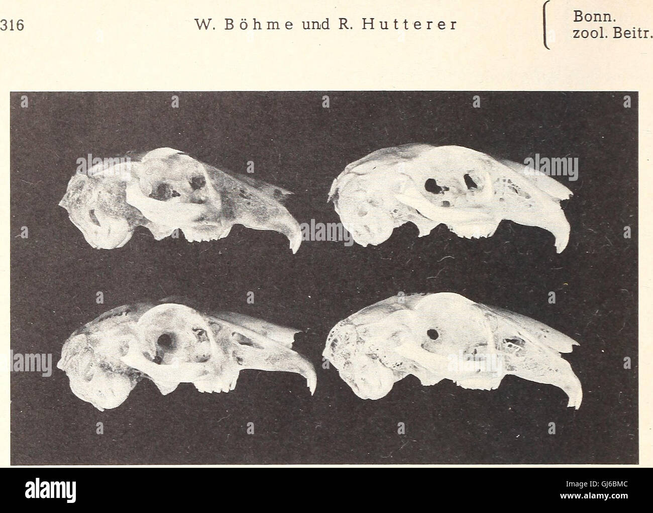 Published in 1978 by the Zoological Research Institute and Museum ...
