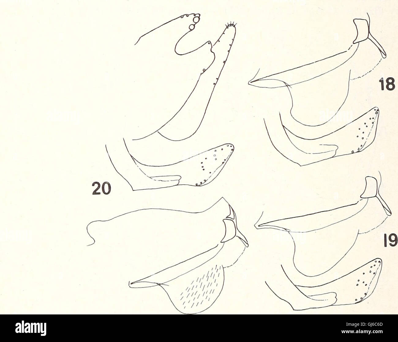 A scientific journal published by the Zoological Research Institute and ...