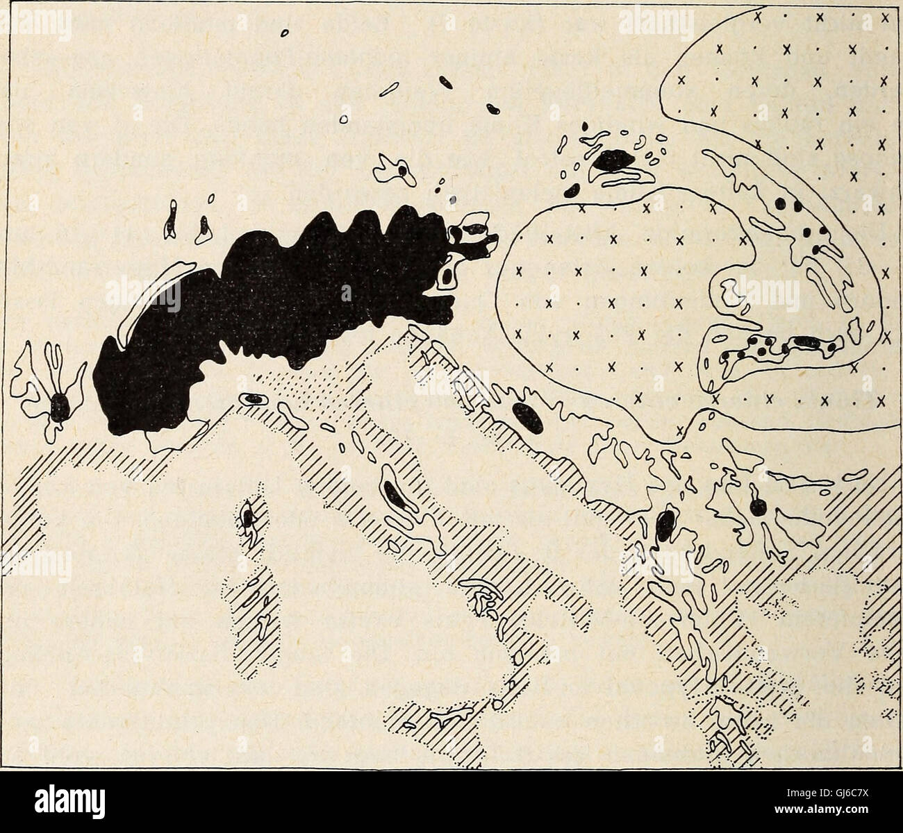 A 1962 publication by the Zoological Research Institute and Museum ...