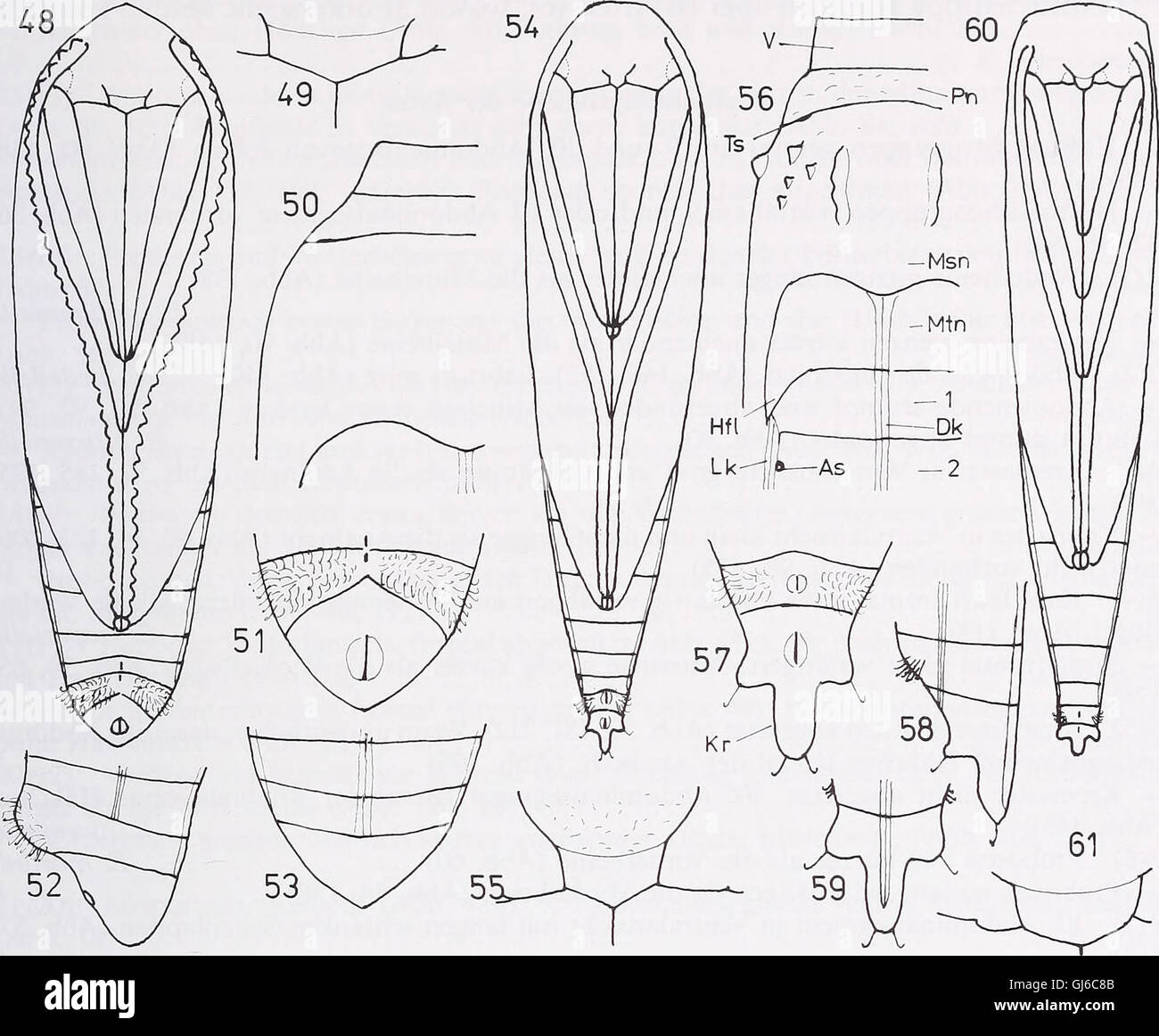A scientific publication from the Zoological Research Institute and ...