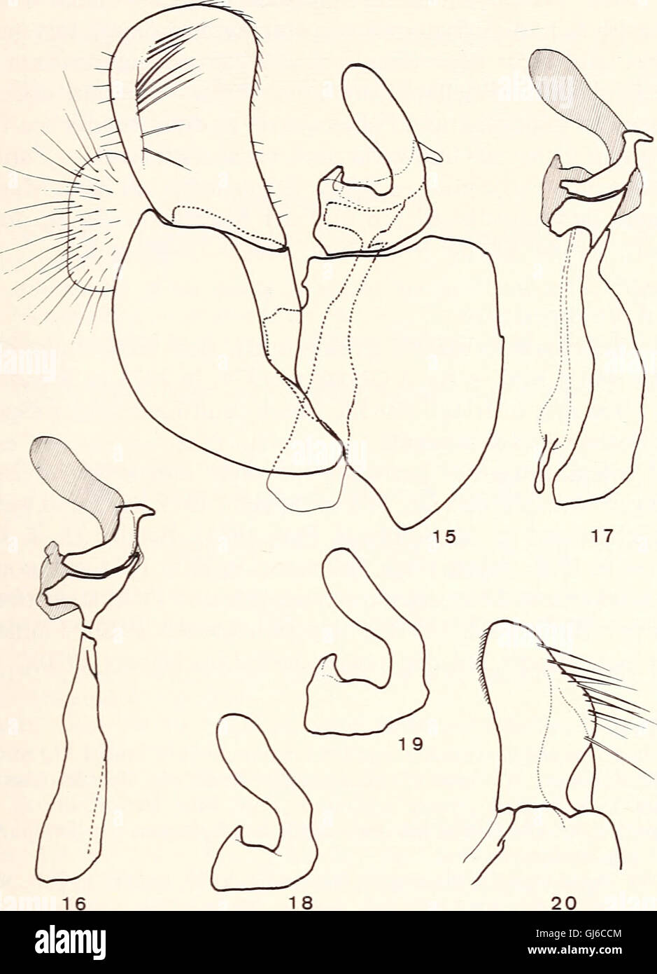 This 1988 publication from the Zoological Research Institute and Museum ...