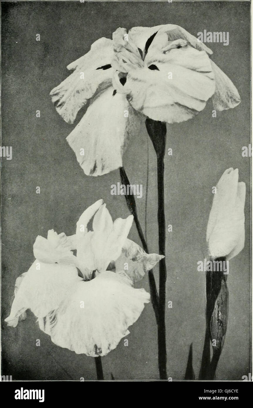 This 1901 work offers a historic and picturesque description of the Far ...