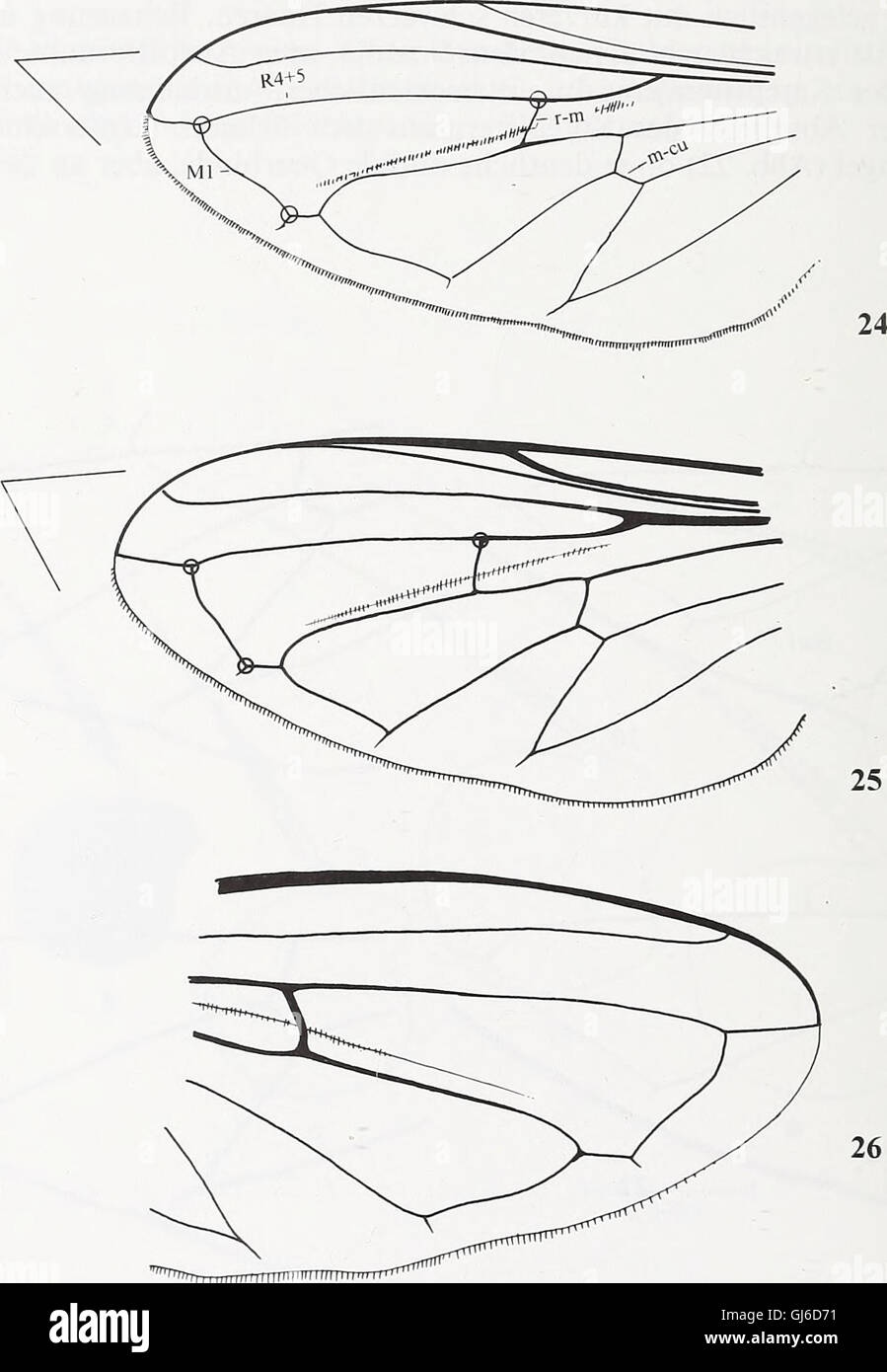A publication from the Zoological Research Institute and Museum ...