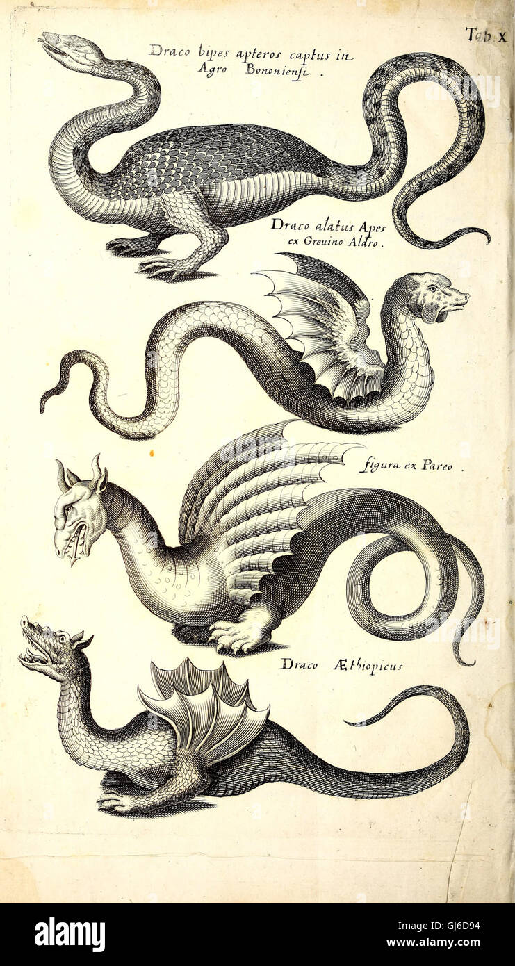 This 18th-century work, 'Historiae Naturalis,' is a comprehensive study ...