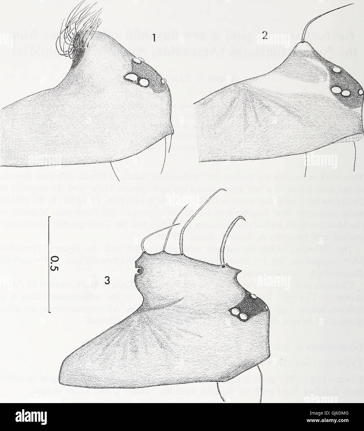 A 1997 publication from the Zoological Research Institute and Museum ...