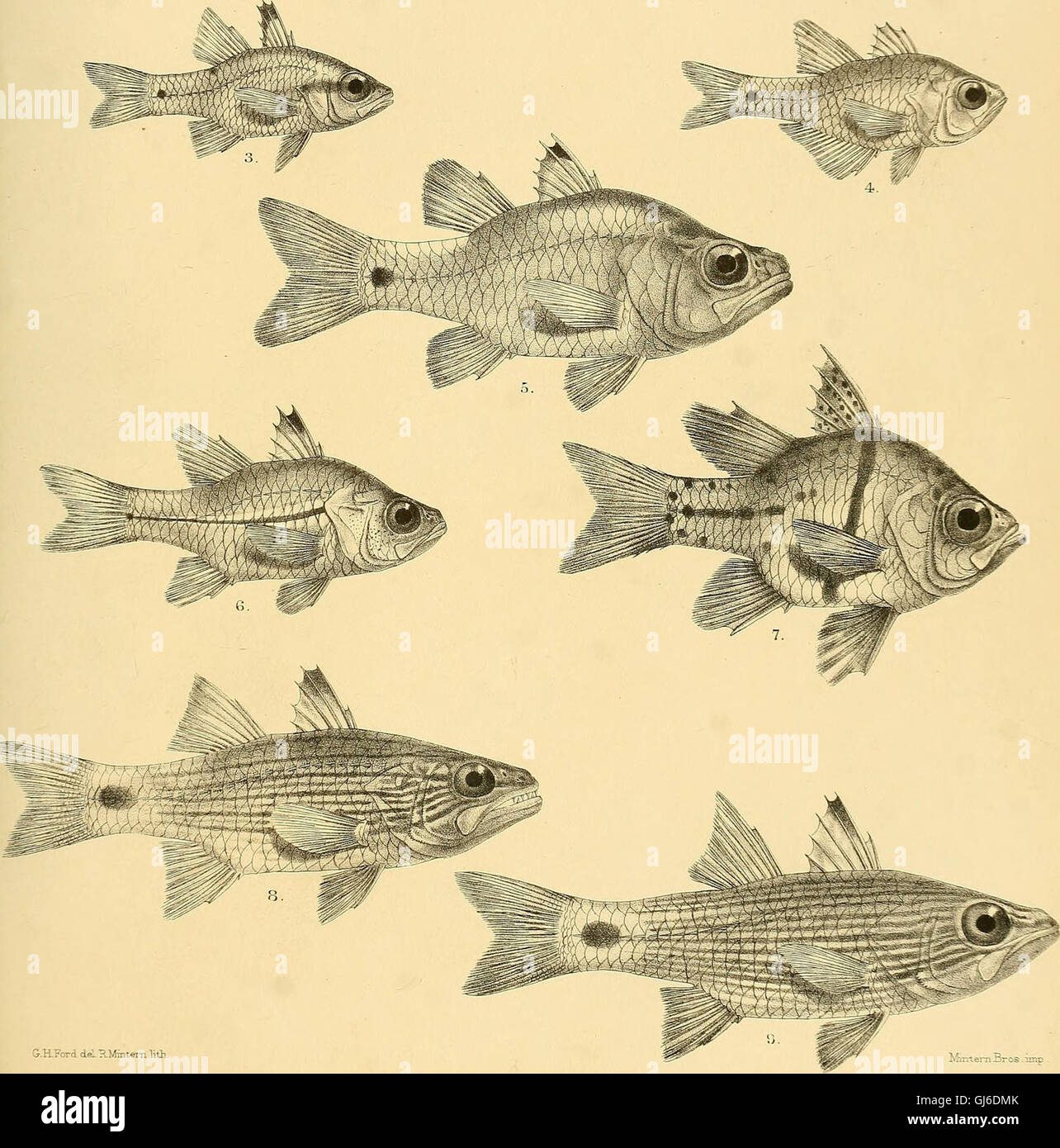 This 1875 work provides a detailed natural history of fish species ...
