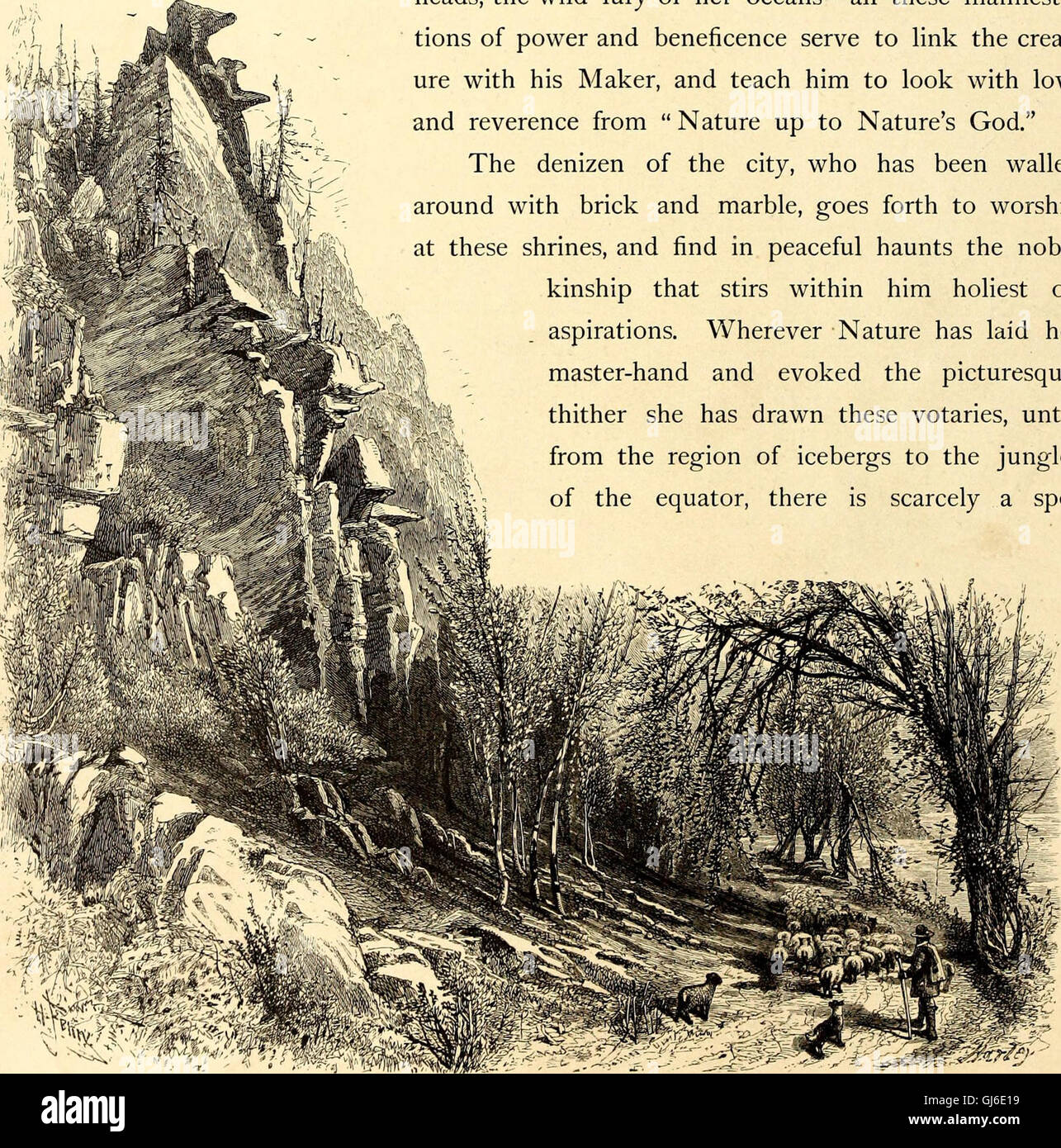 Antique map of forests in america hi-res stock photography and images ...